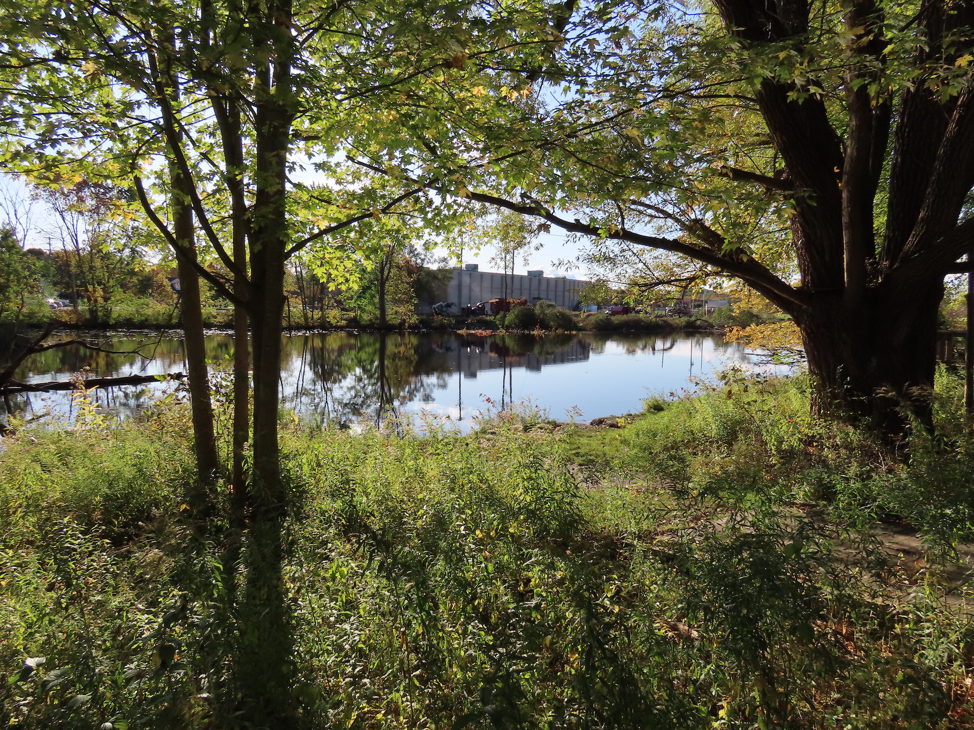 Rogue River PFAS contamination - mlive.com