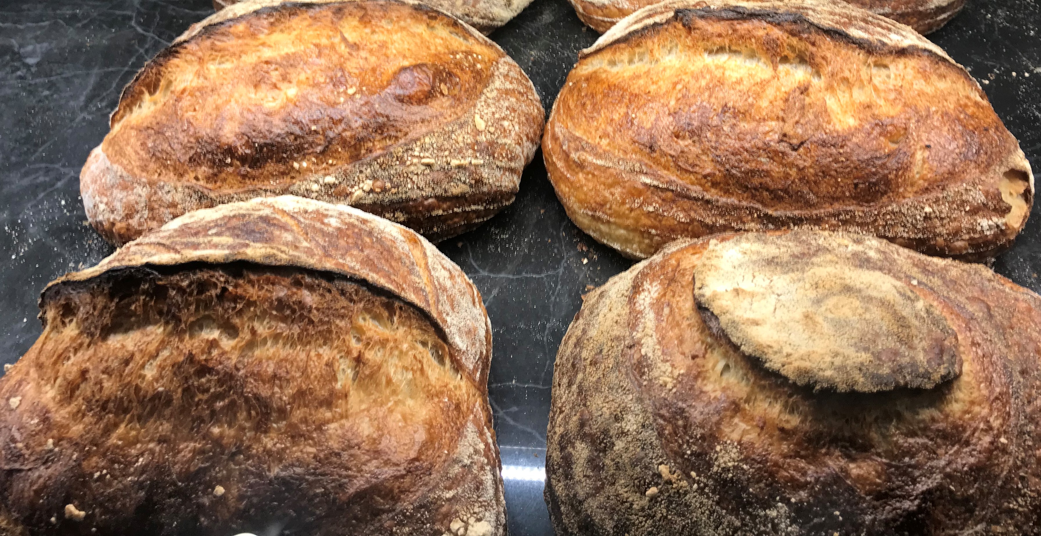 michael angelo's winery - cleveland.com