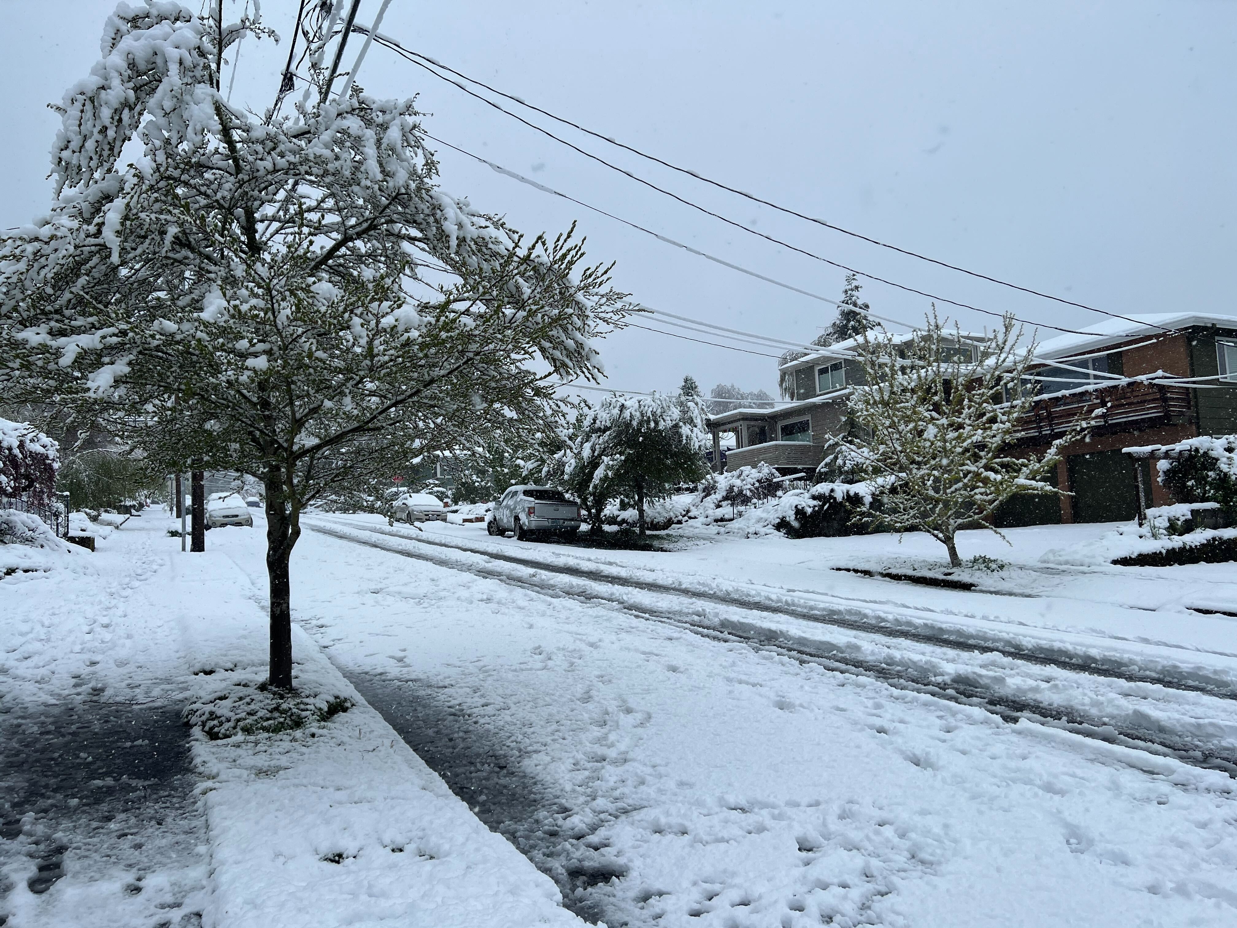 Portland snow April 11, 2022 - oregonlive.com