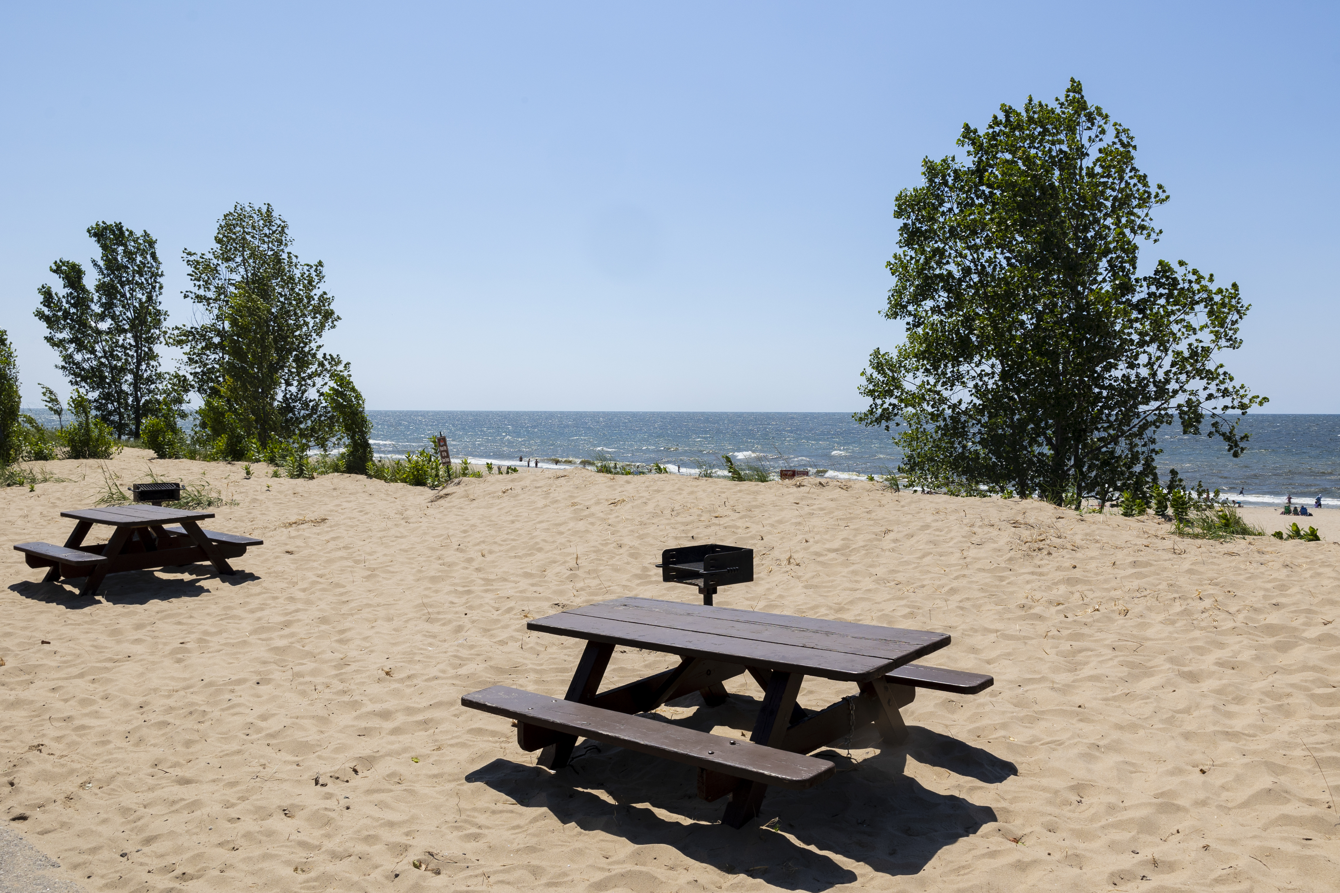 Oval Beach in Saugatuck - mlive.com