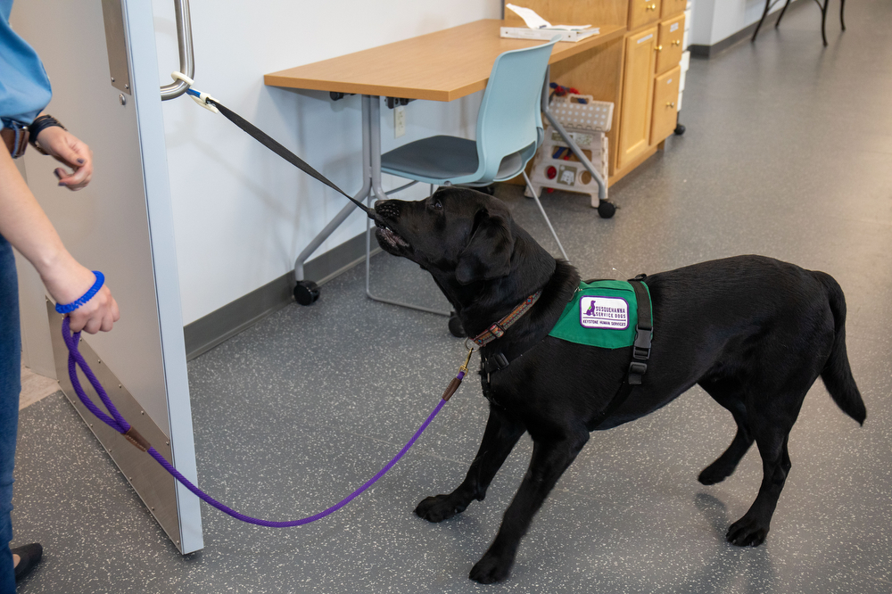 Susquehanna Service Dogs opens new training center in East Hanover ...