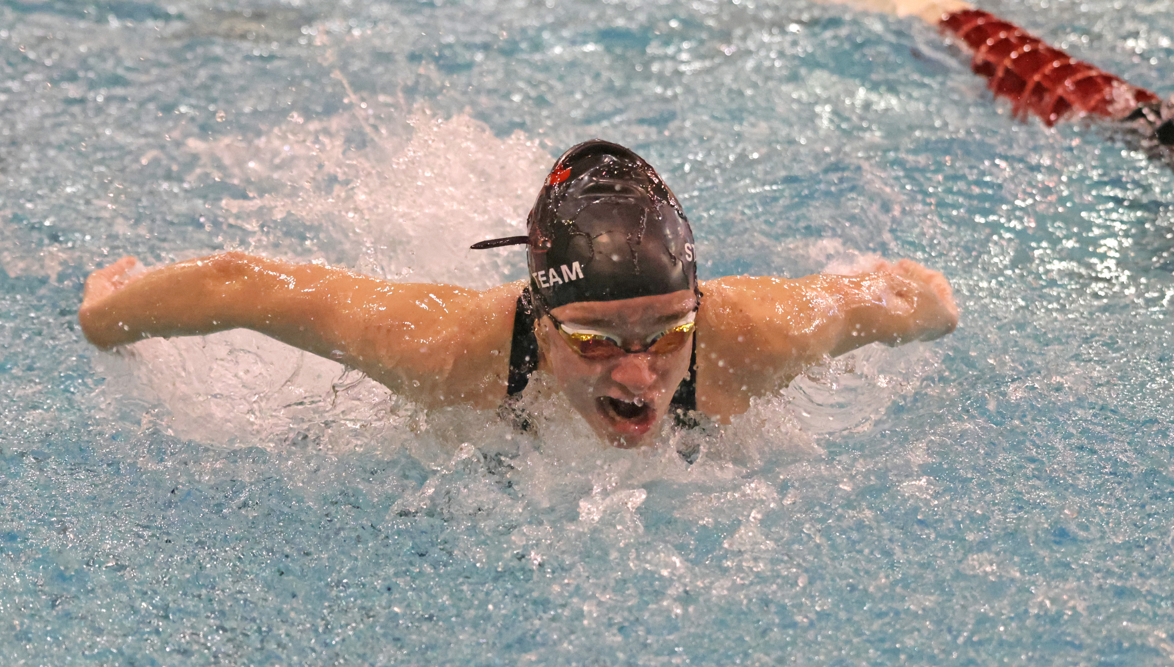 2024 Ohio State High School Division 1 Swimming Championships ...