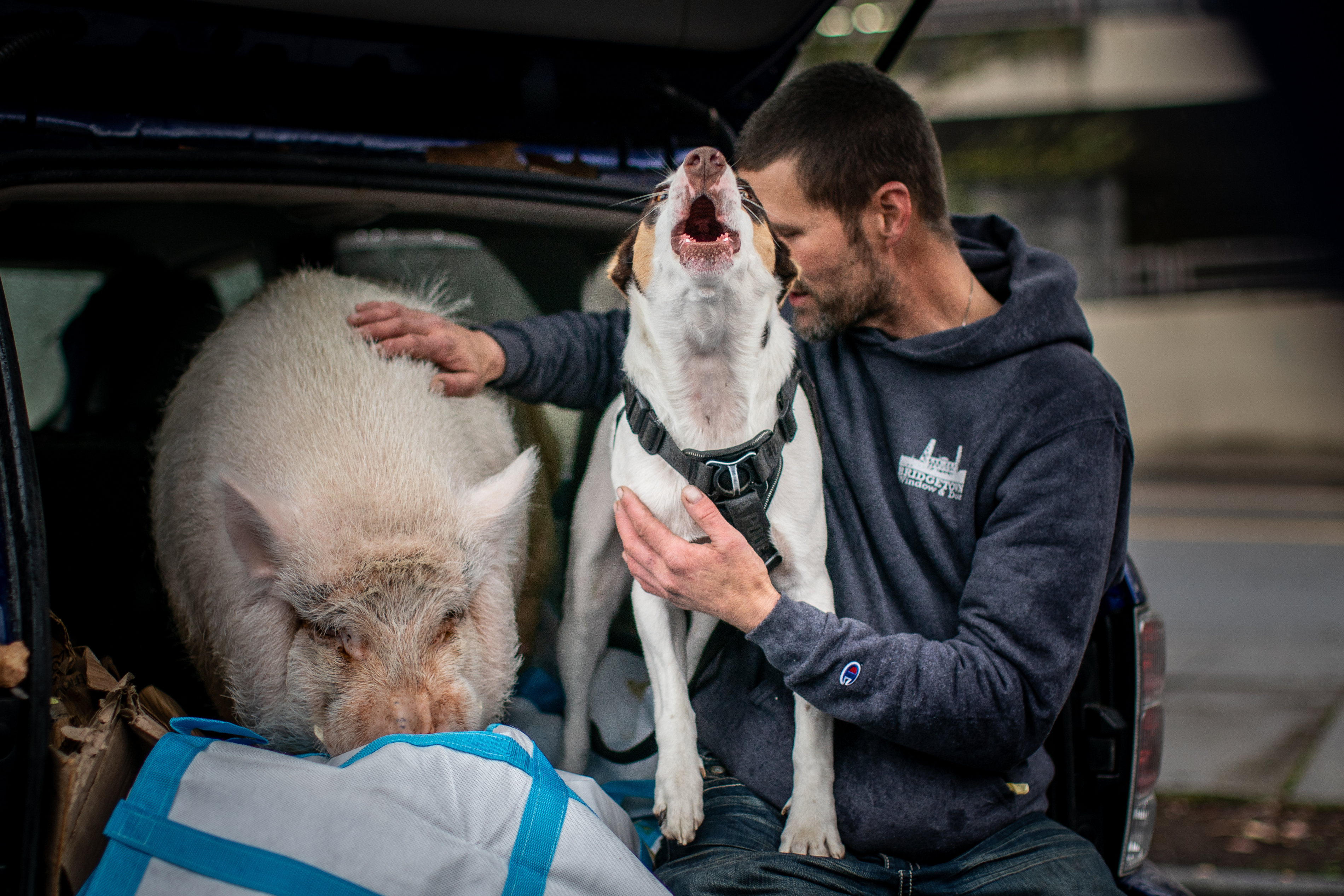 Veteran Tony James and his 250 pound pet pig - oregonlive.com