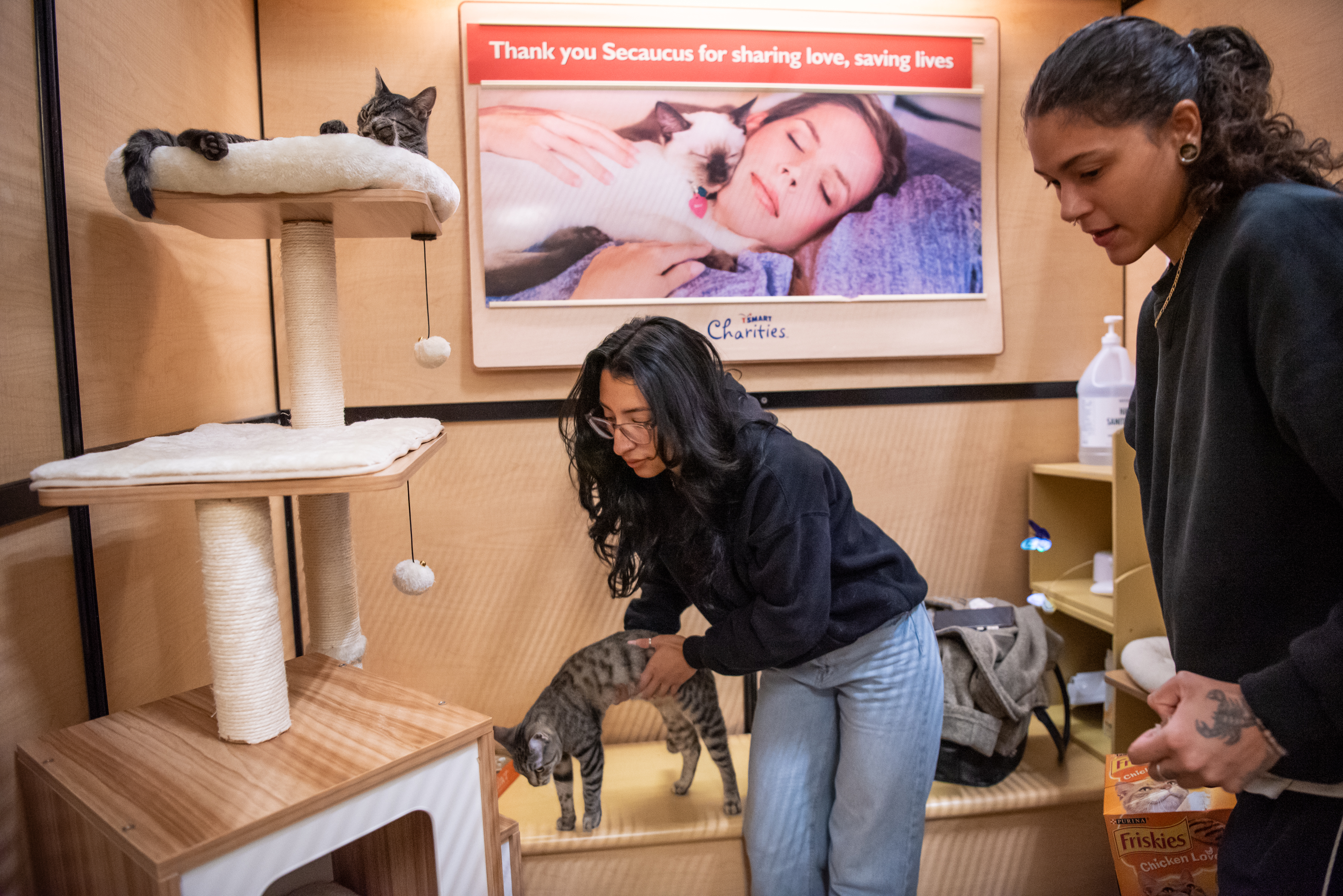 Animal adoption center at Secaucus PetSmart - nj.com