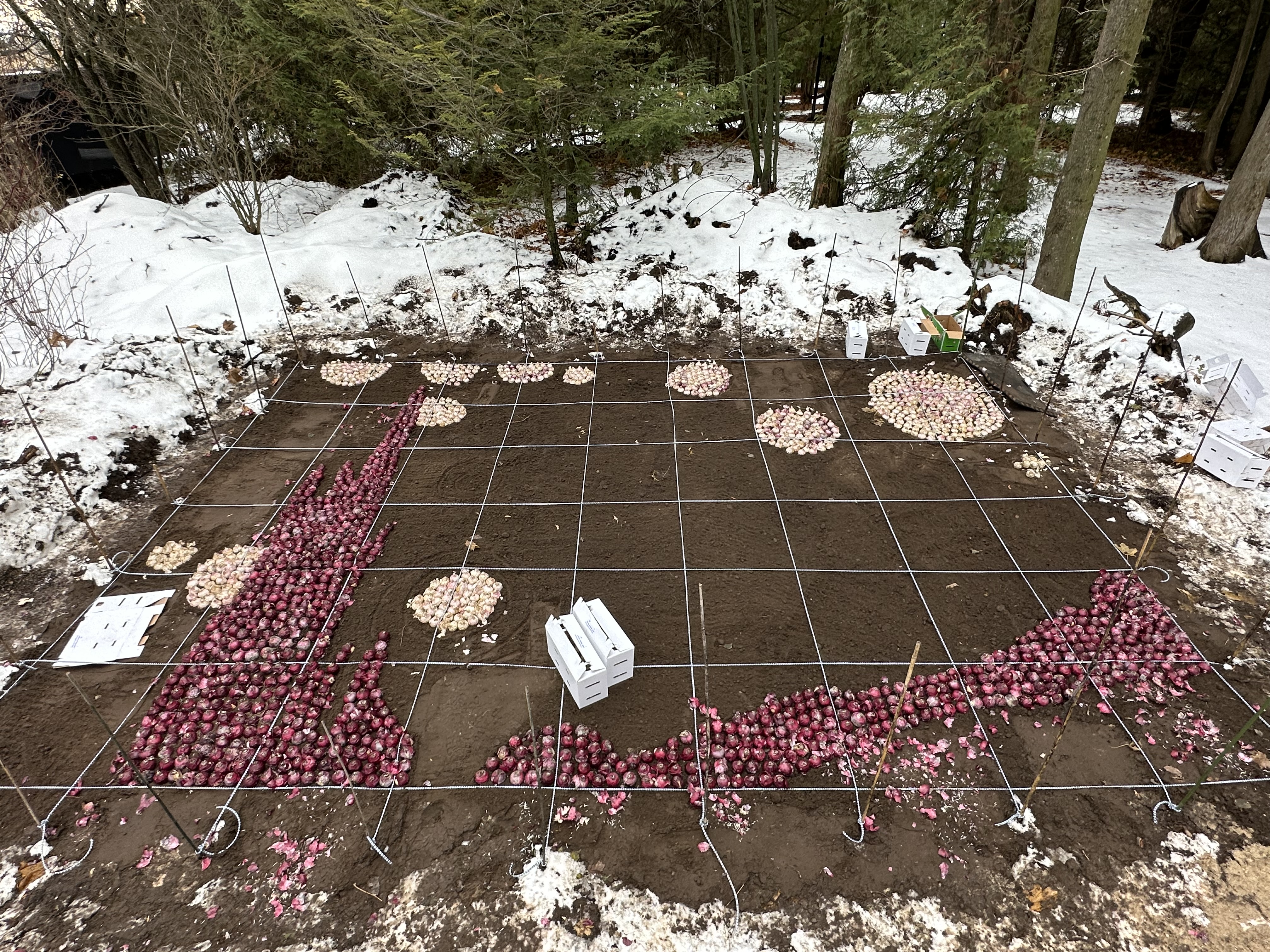 Starry Night Garden at the Grand Hotel - mlive.com