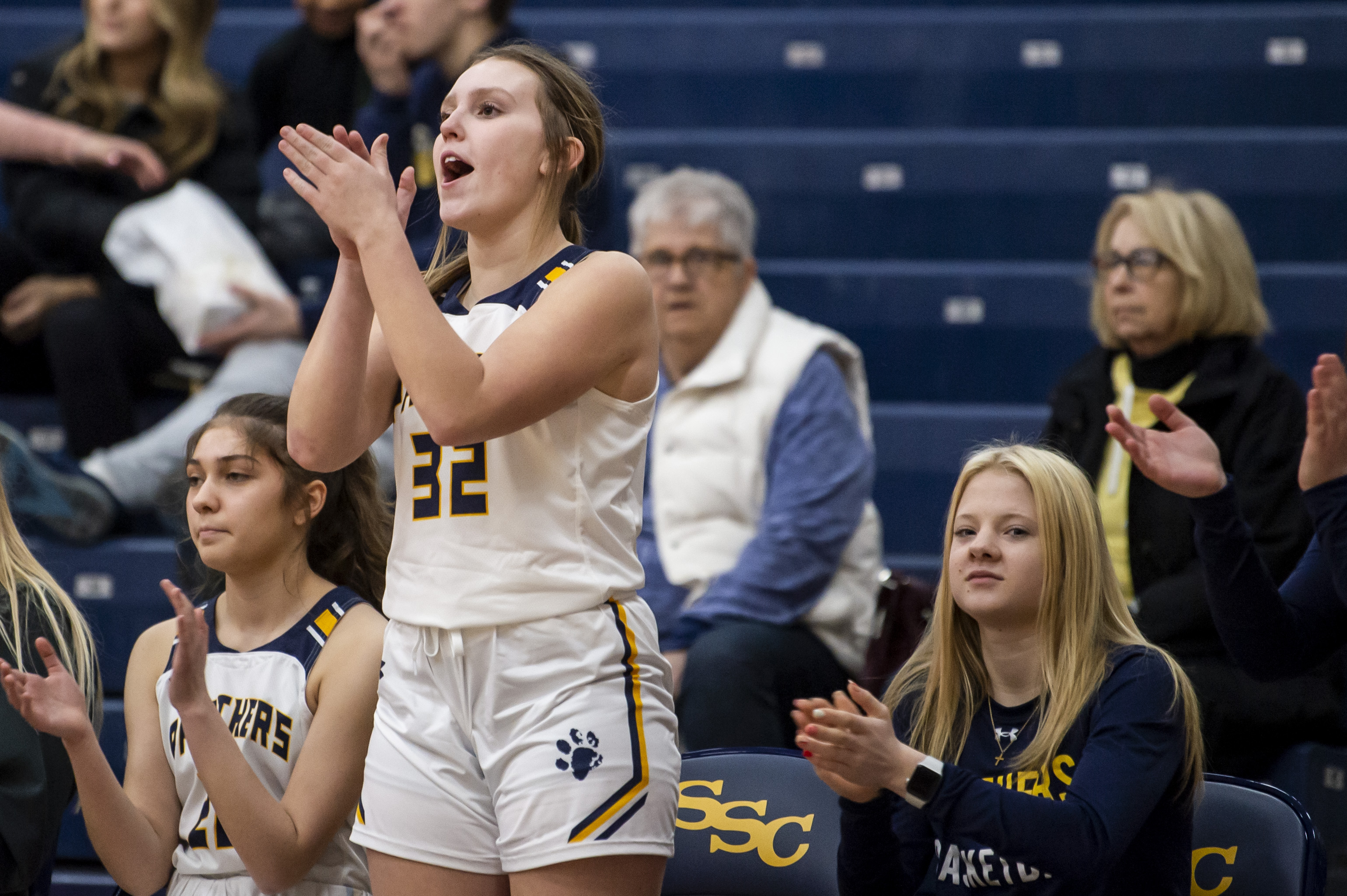 Standish-Sterling girls basketball takes down Millington - mlive.com