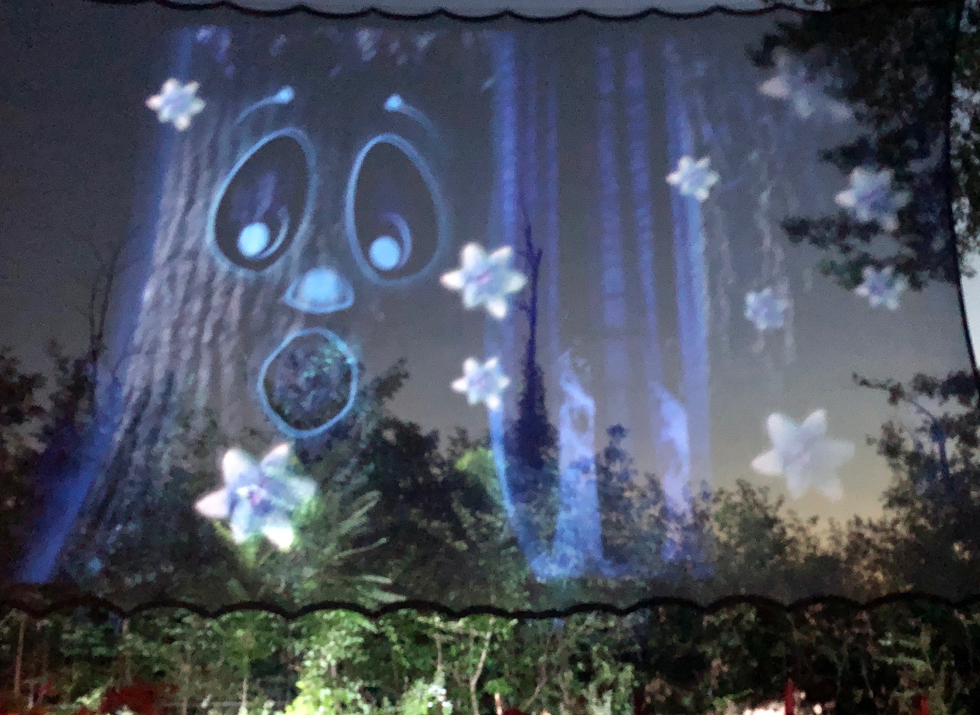 Glenlore Trails forest light show experience - mlive.com