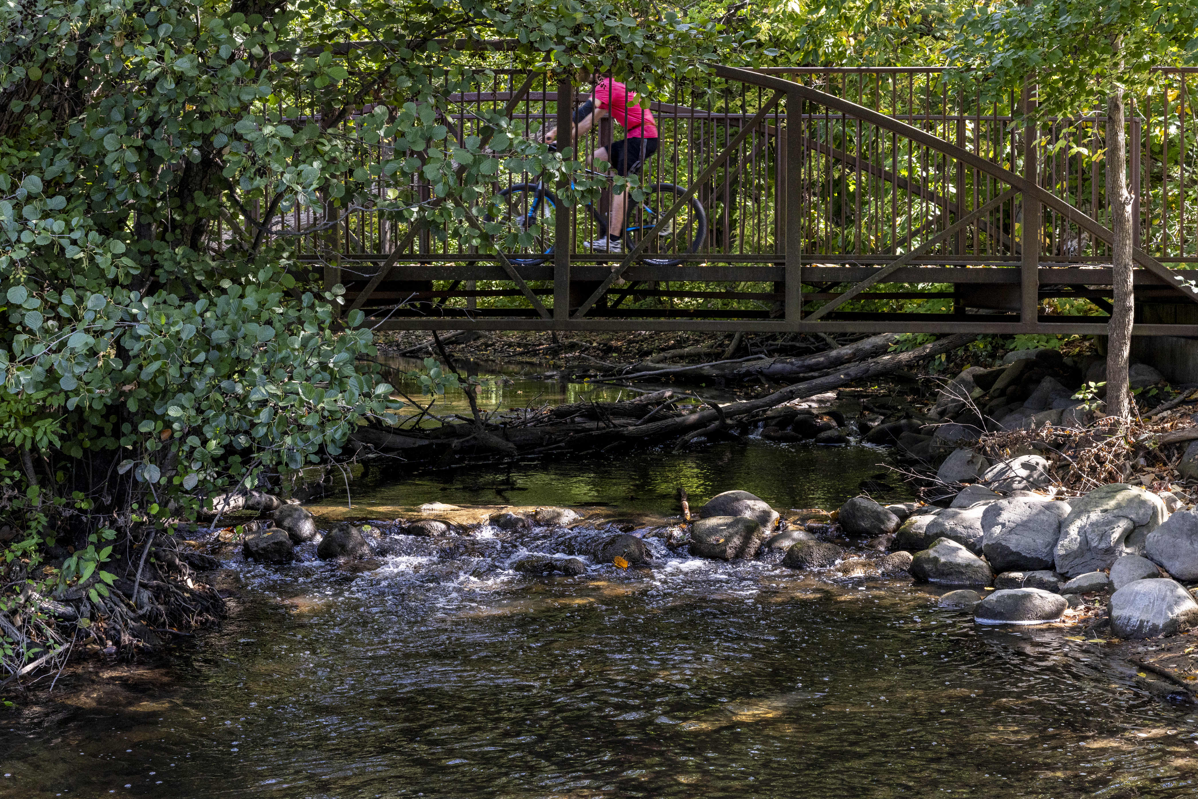 Riverside Park in Grand Rapids - mlive.com