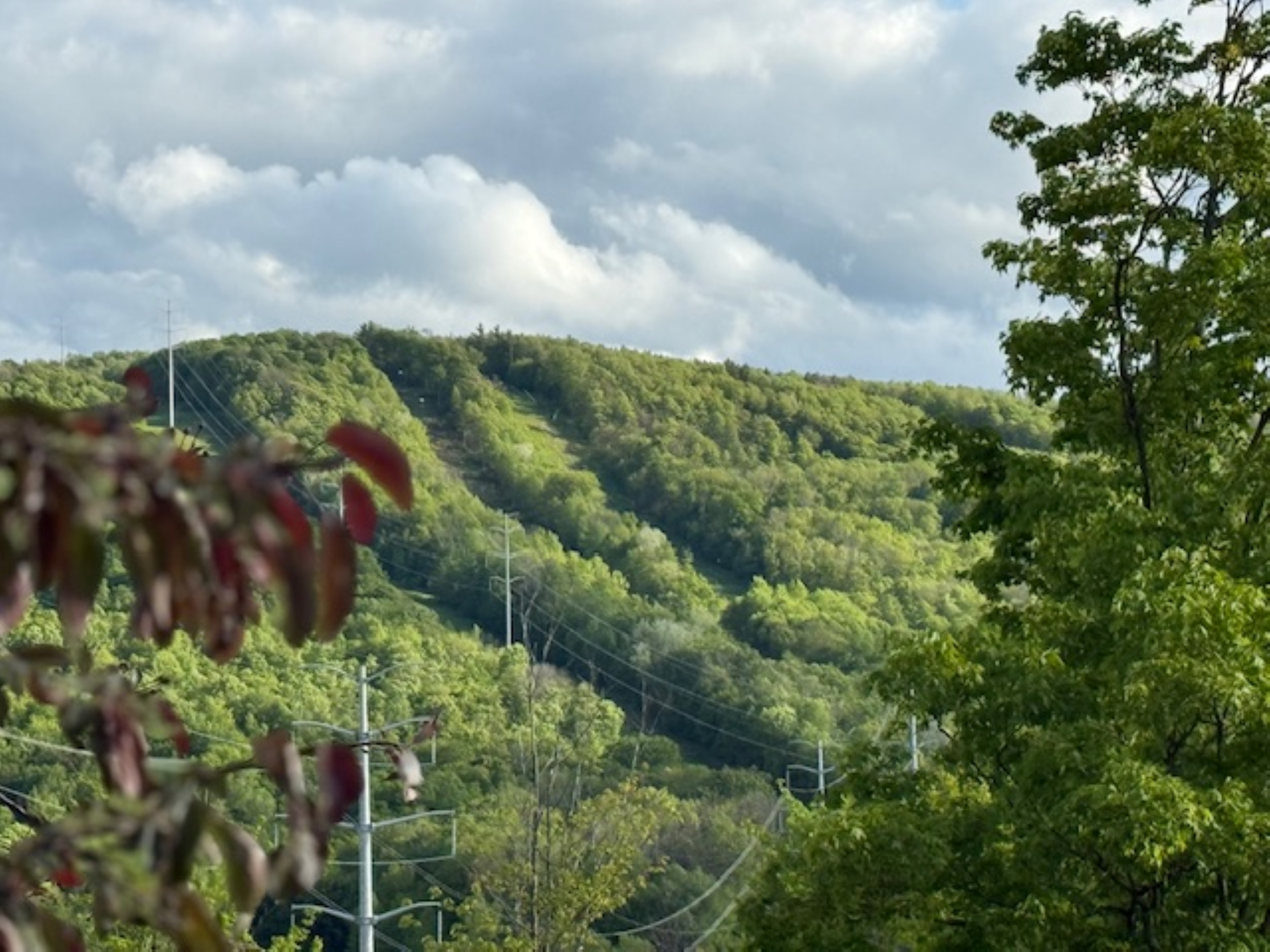 Relax beneath the shadow of Greek Peak at this Cortland County ...