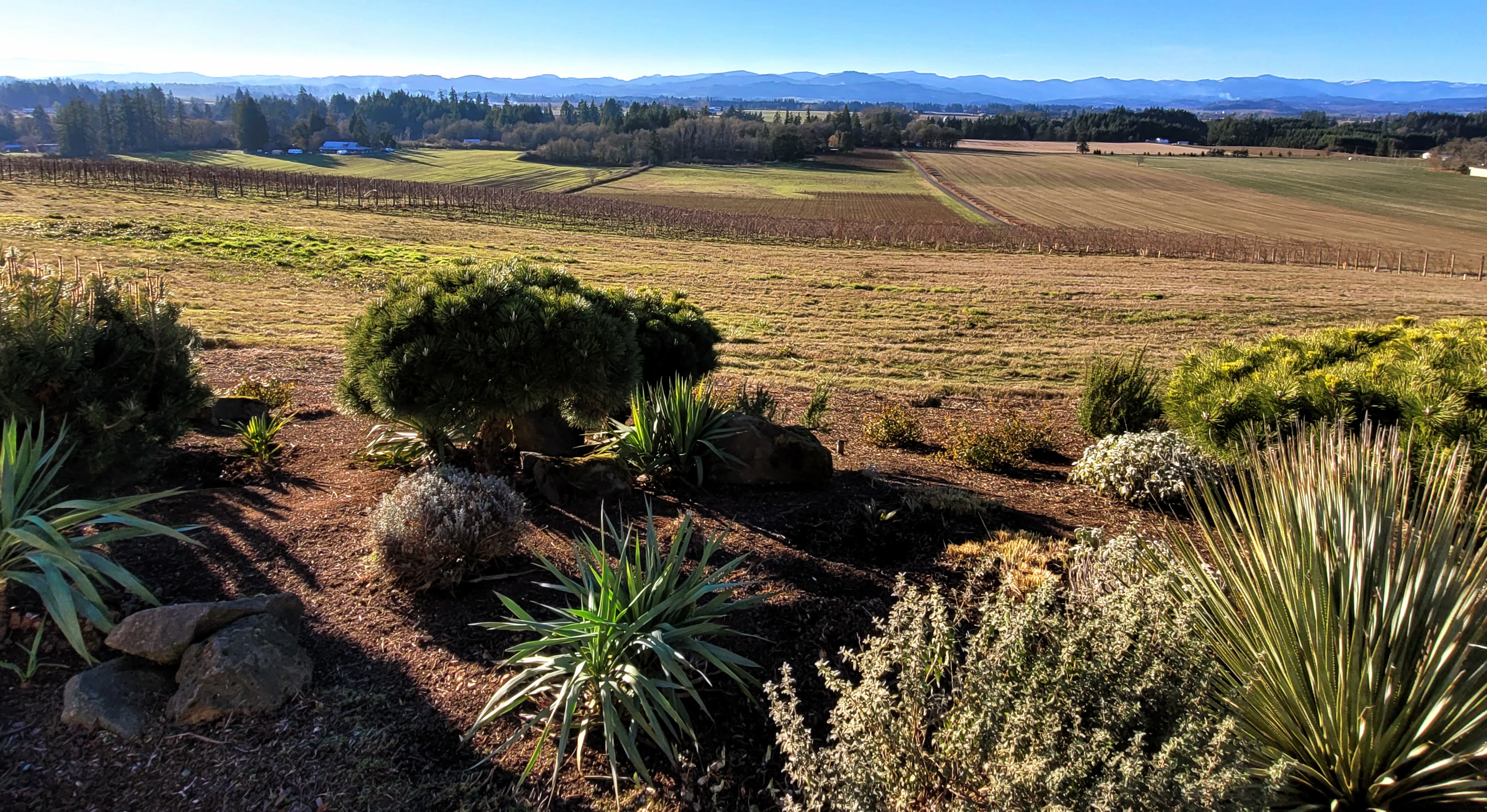Winery spotlight: Anne Amie Vineyards - oregonlive.com