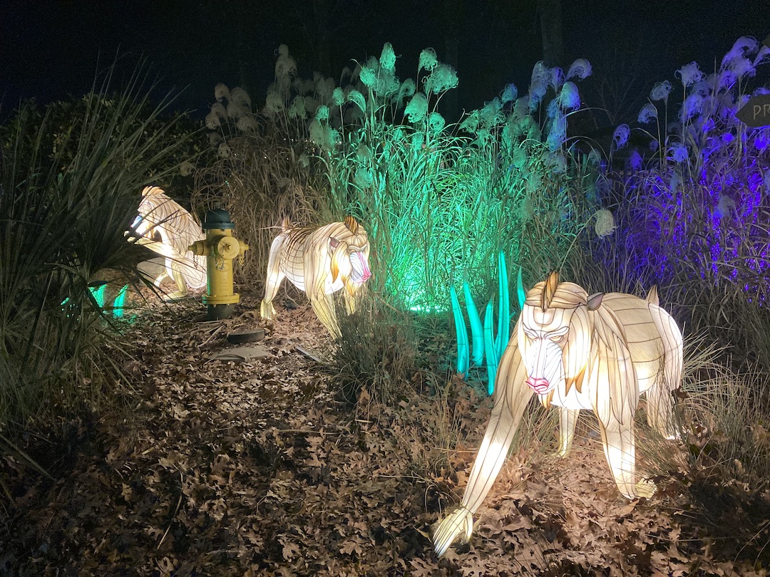 Glow Wild at Birmingham Zoo - al.com