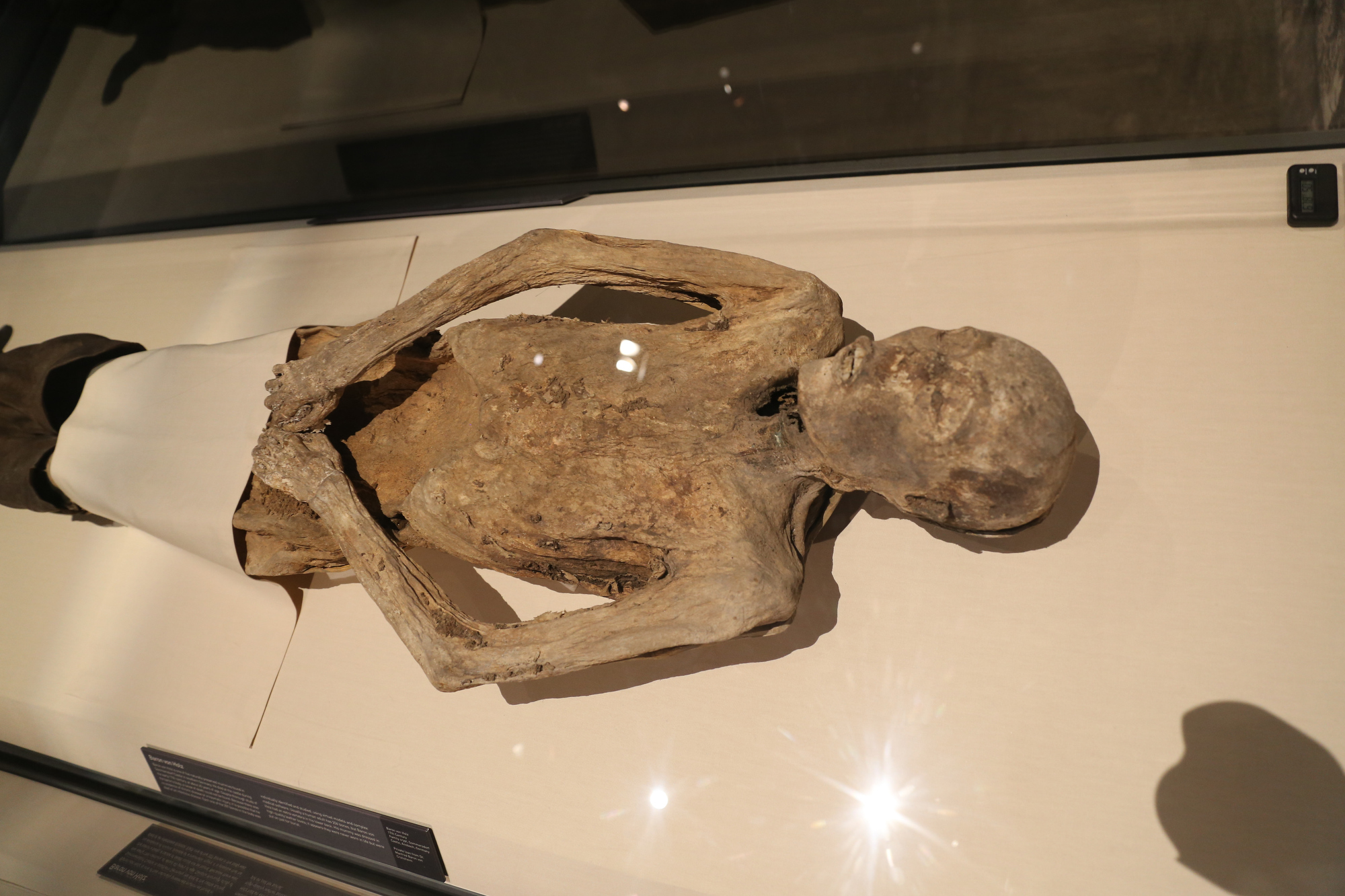 Mummies of the World on display at the Corner Gallery - cleveland.com