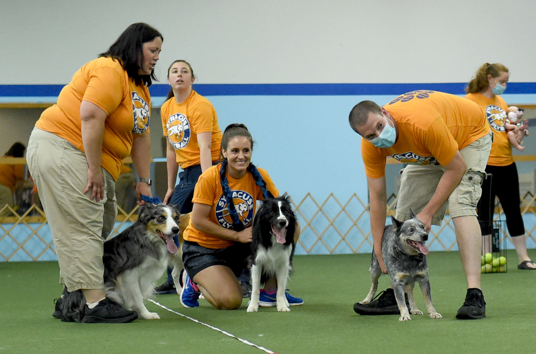 Flyball: Fast, fun, fur-flying action for owners and their dogs ...