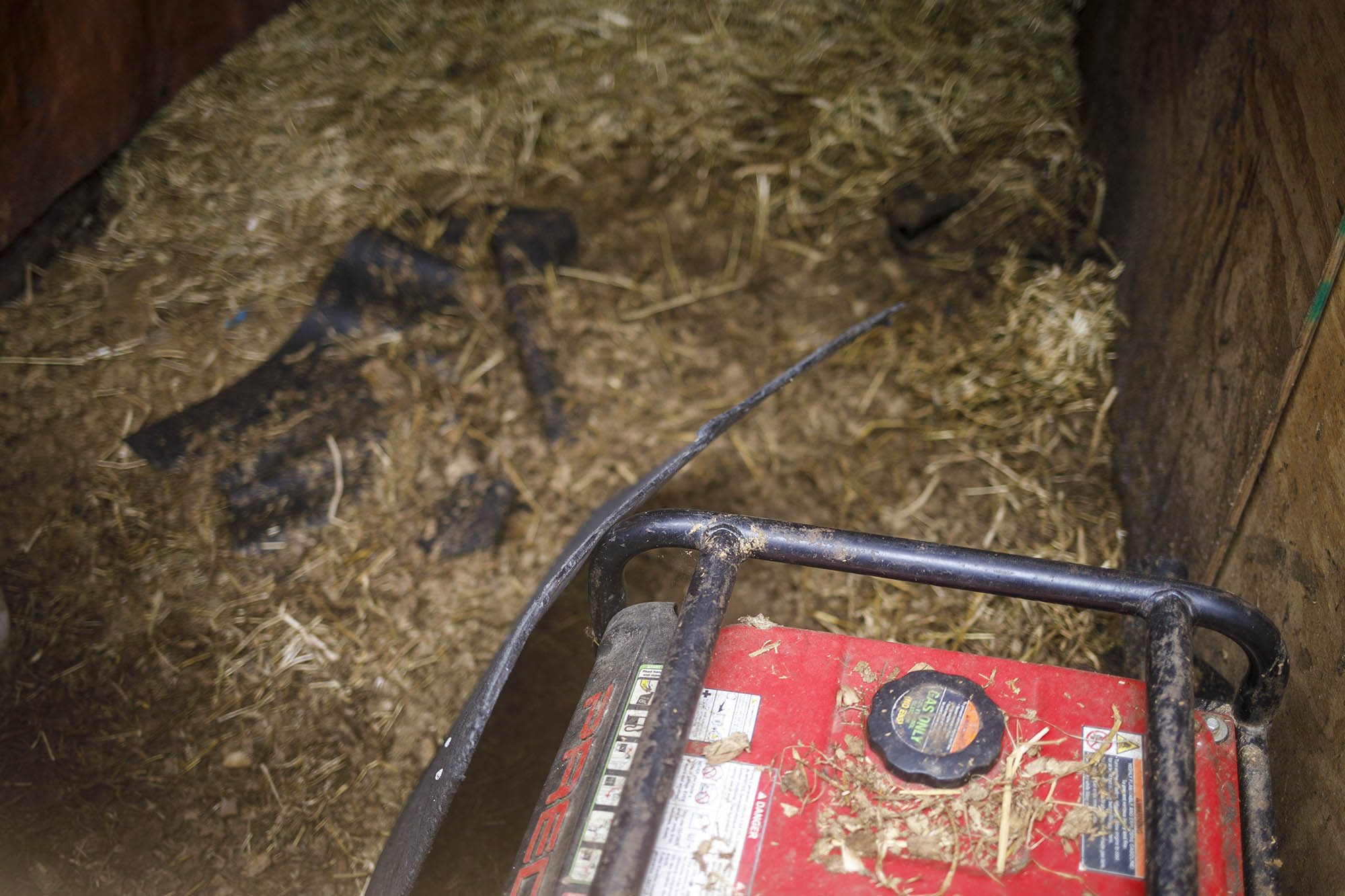 Animal filled school bus and makeshift trailer found in Adams County ...