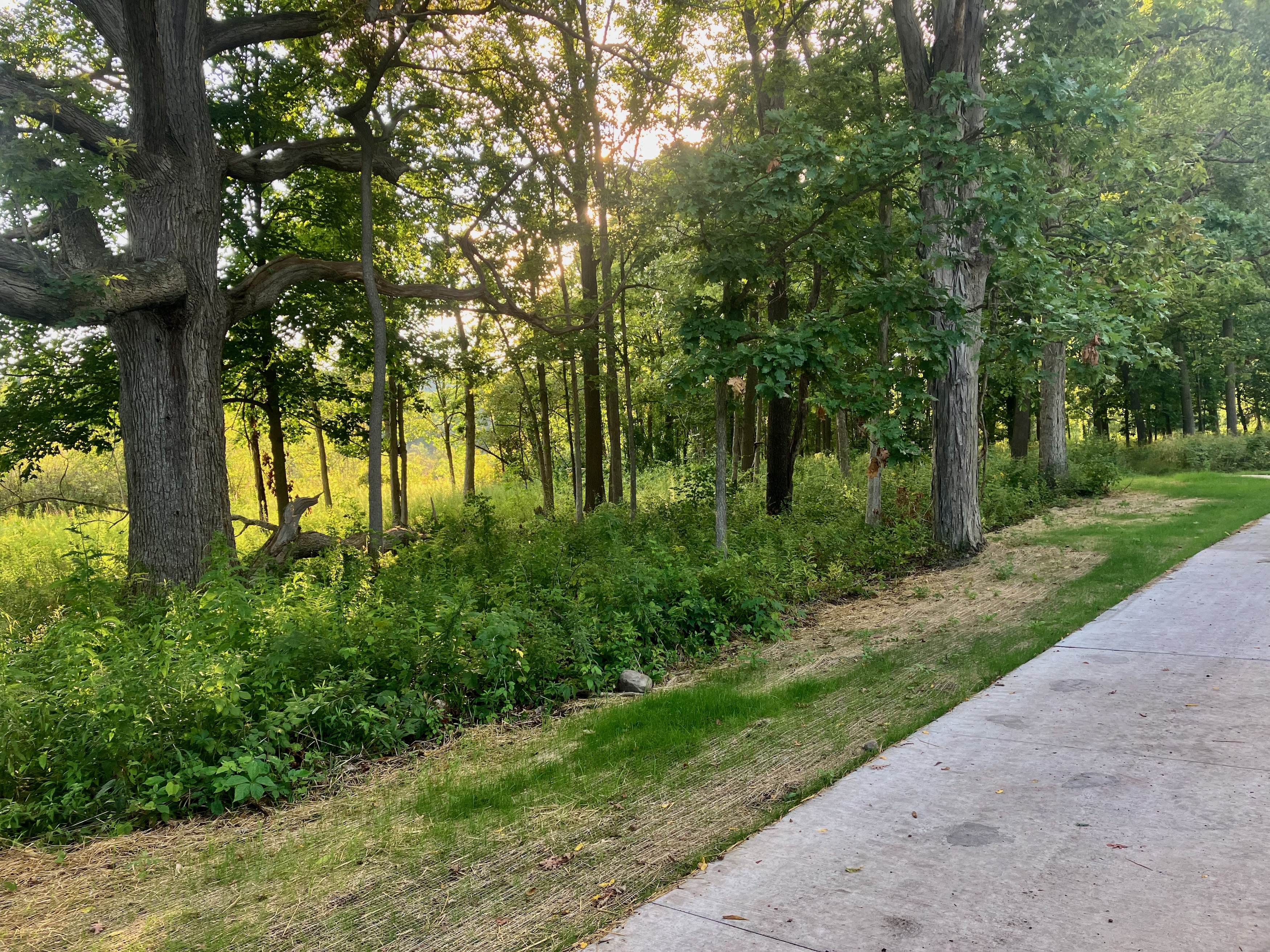 New Border-to-Border Trail segment through Barton Nature Area now open ...