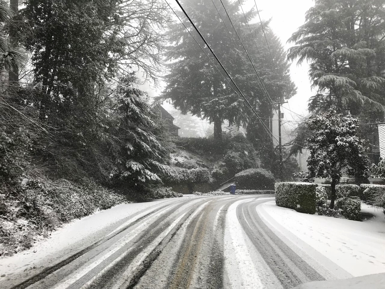 Portland snow - Feb. 22, 2023 - oregonlive.com