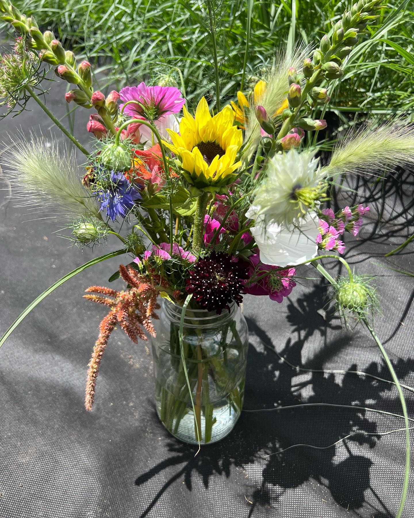 Tangerini's Farm - masslive.com