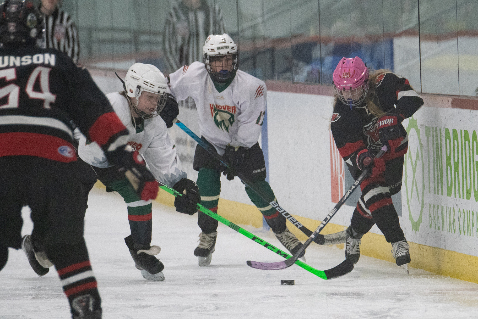 1-16-22 Westfield Youth Hockey Fire & Ice Tournament - Pee Wee Group B ...