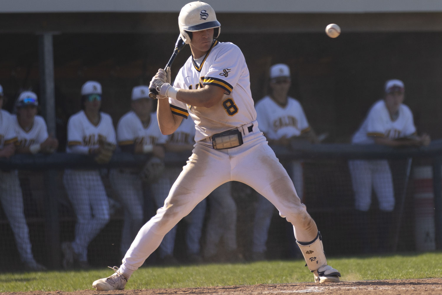 See photos as Saline hosts Dexter, Chelsea in baseball and softball ...