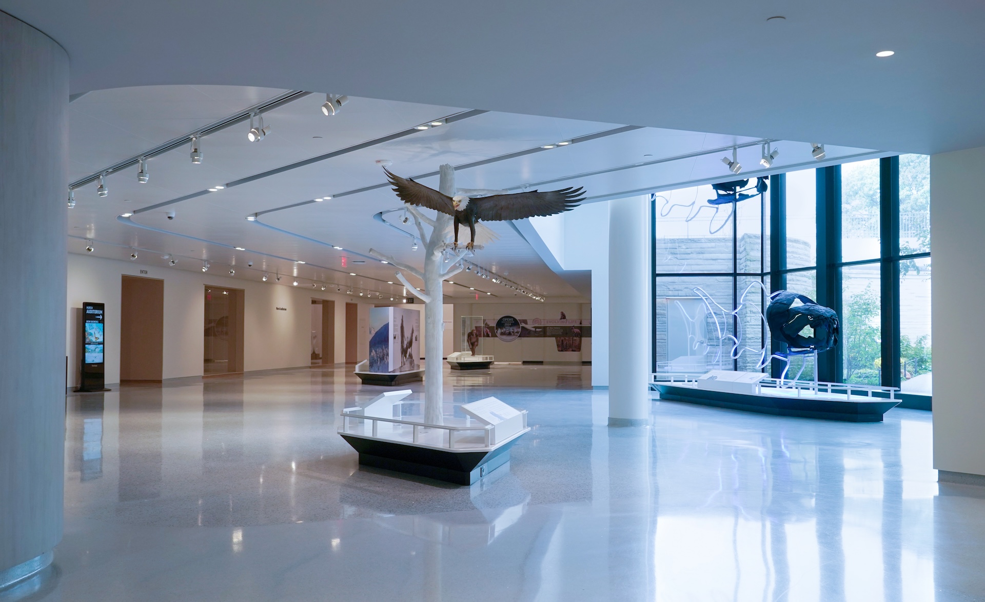 Cleveland Museum of Natural History unveils new Visitor Hall with key ...