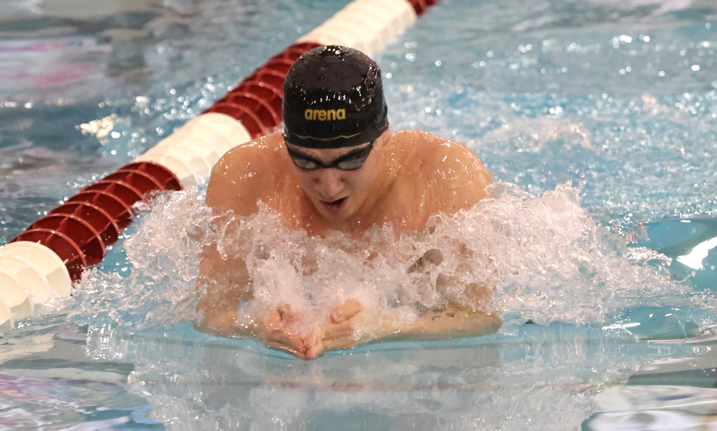 2024 Ohio State High School Division 1 Swimming Championships ...