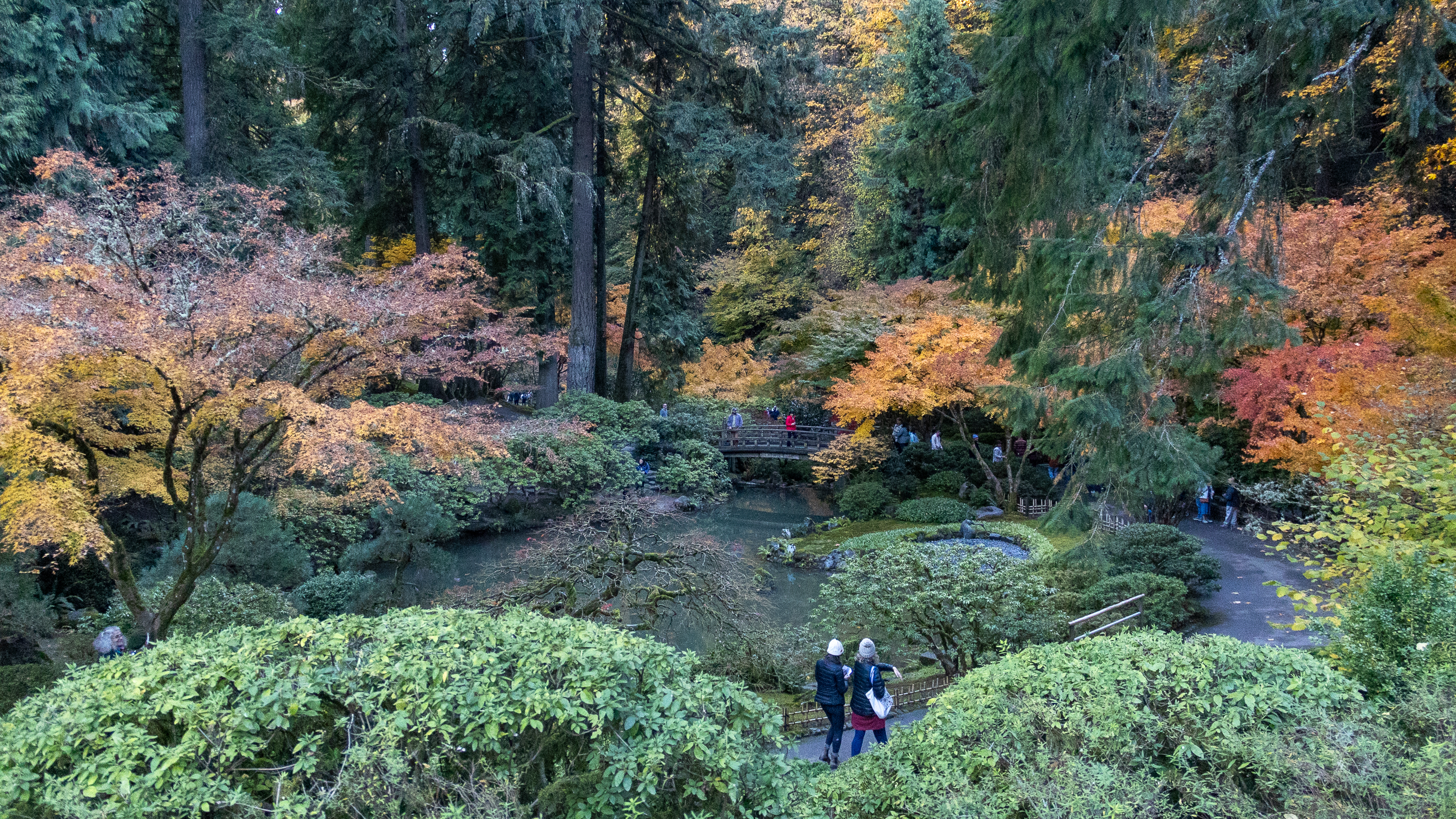 Fall foliage at the Portland Japanese Garden - oregonlive.com