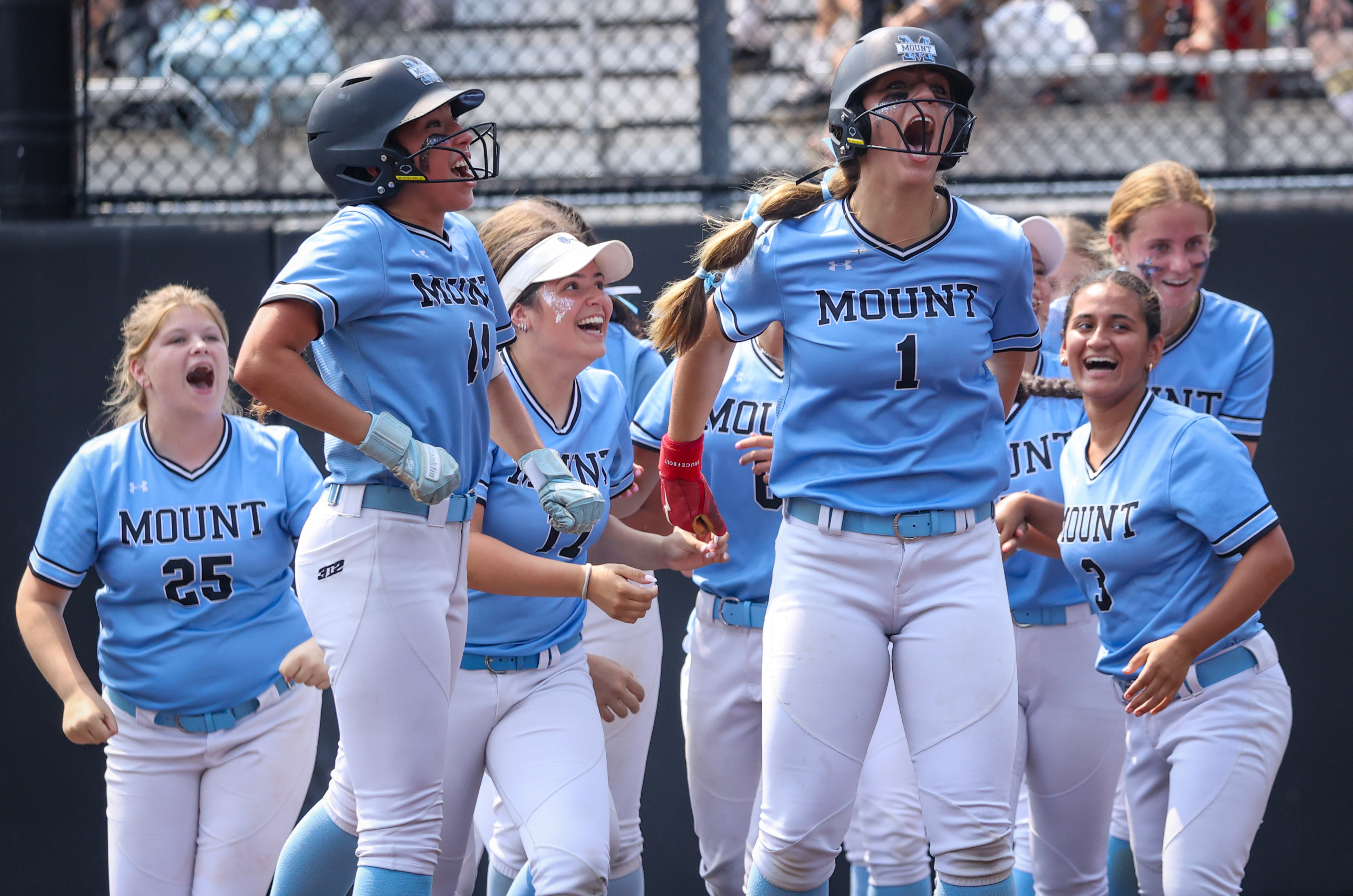 Softball: Mount St. Dominic vs. Donovan Catholic, 2025 NJSIAA Non ...