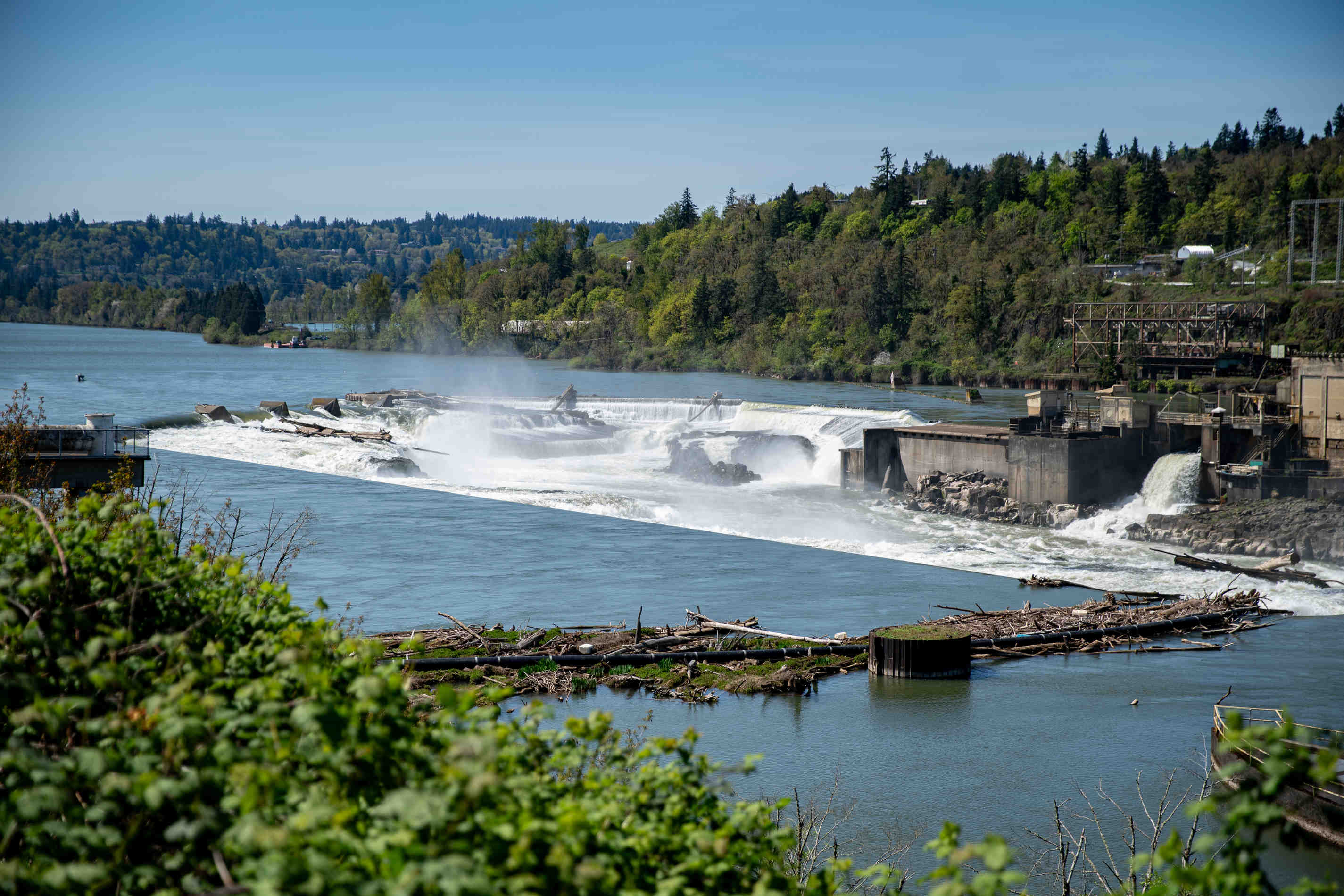 Willamette Falls in Oregon City April 13, 2025 - oregonlive.com