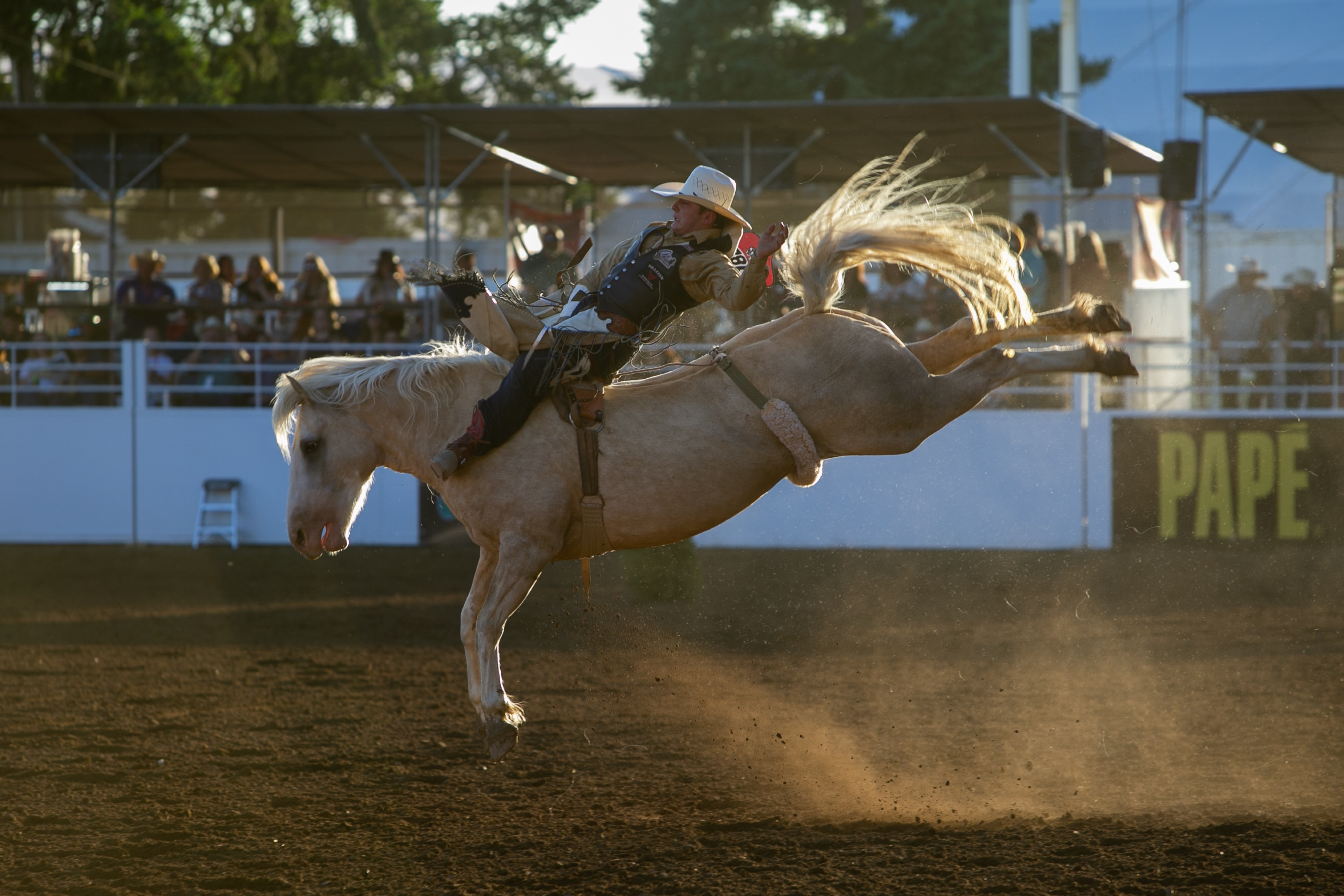 87th annual St. Paul Rodeo - oregonlive.com