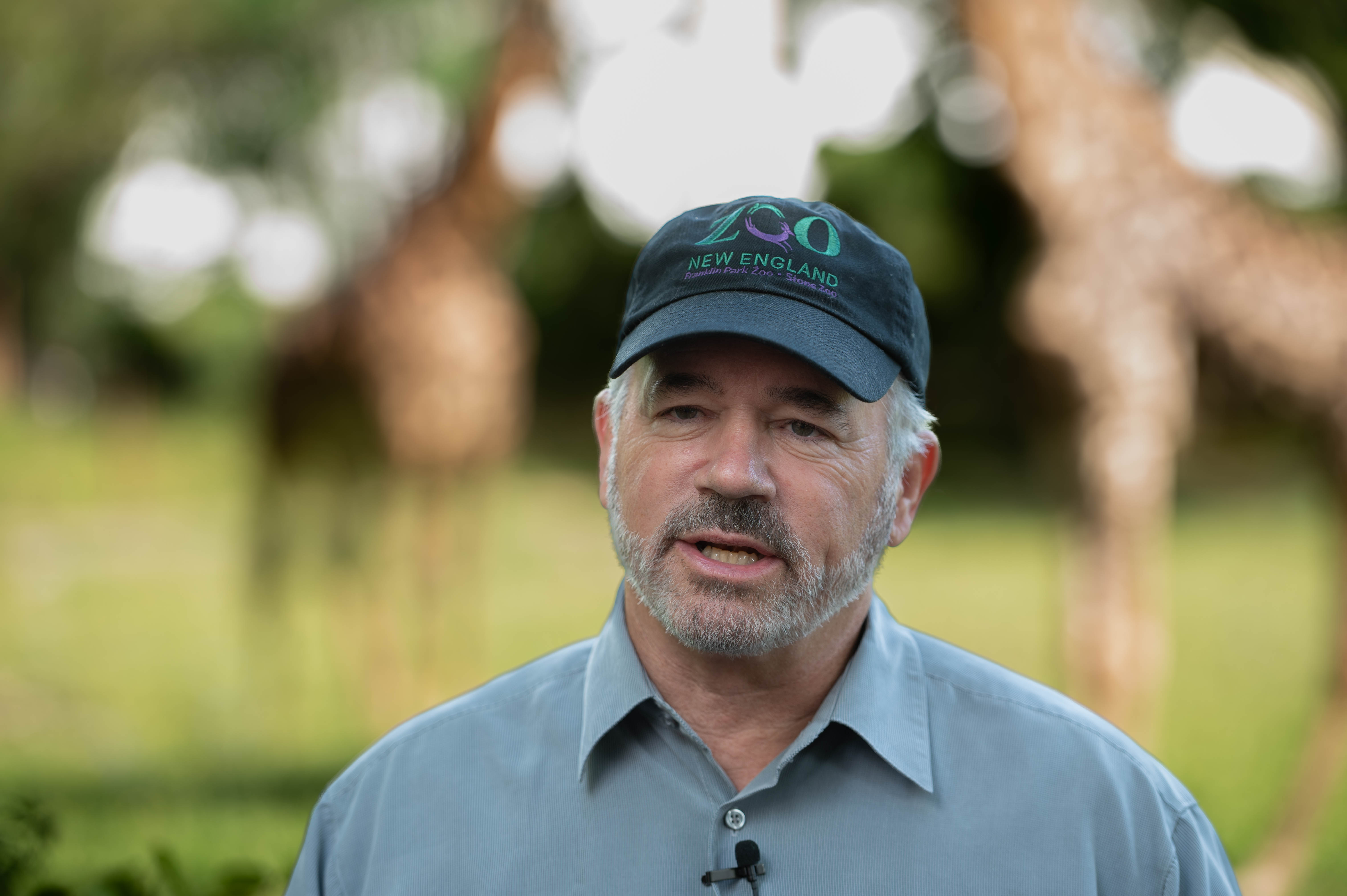 Franklin Park Zoo president retiring, leaves 1,000 animals, 1M visitors ...