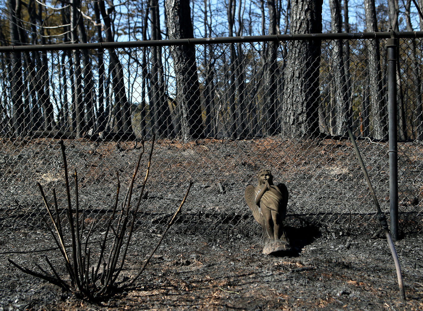 Damage from large brush fire in Brick and Lakewood, March 15, 2021 - nj.com