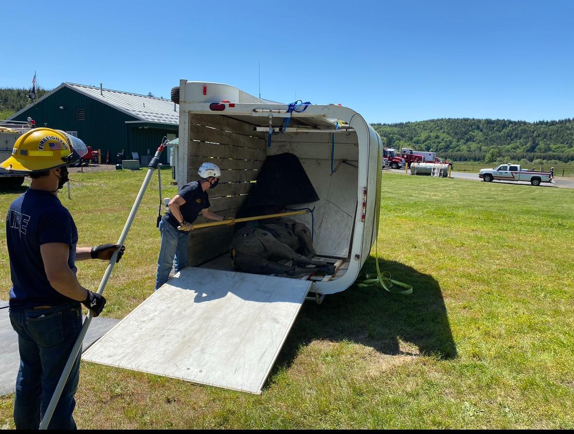 Cow rescue in Mist, Oregon - oregonlive.com