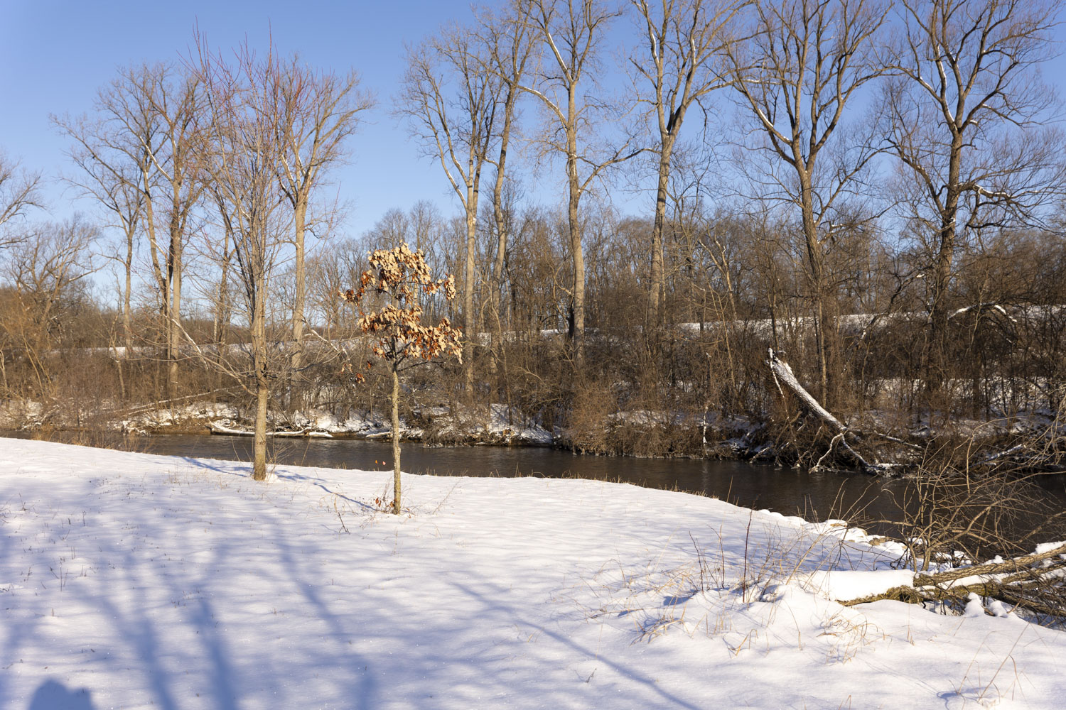 Lower Town Riverfront Conservancy breaks ground on new park project on ...