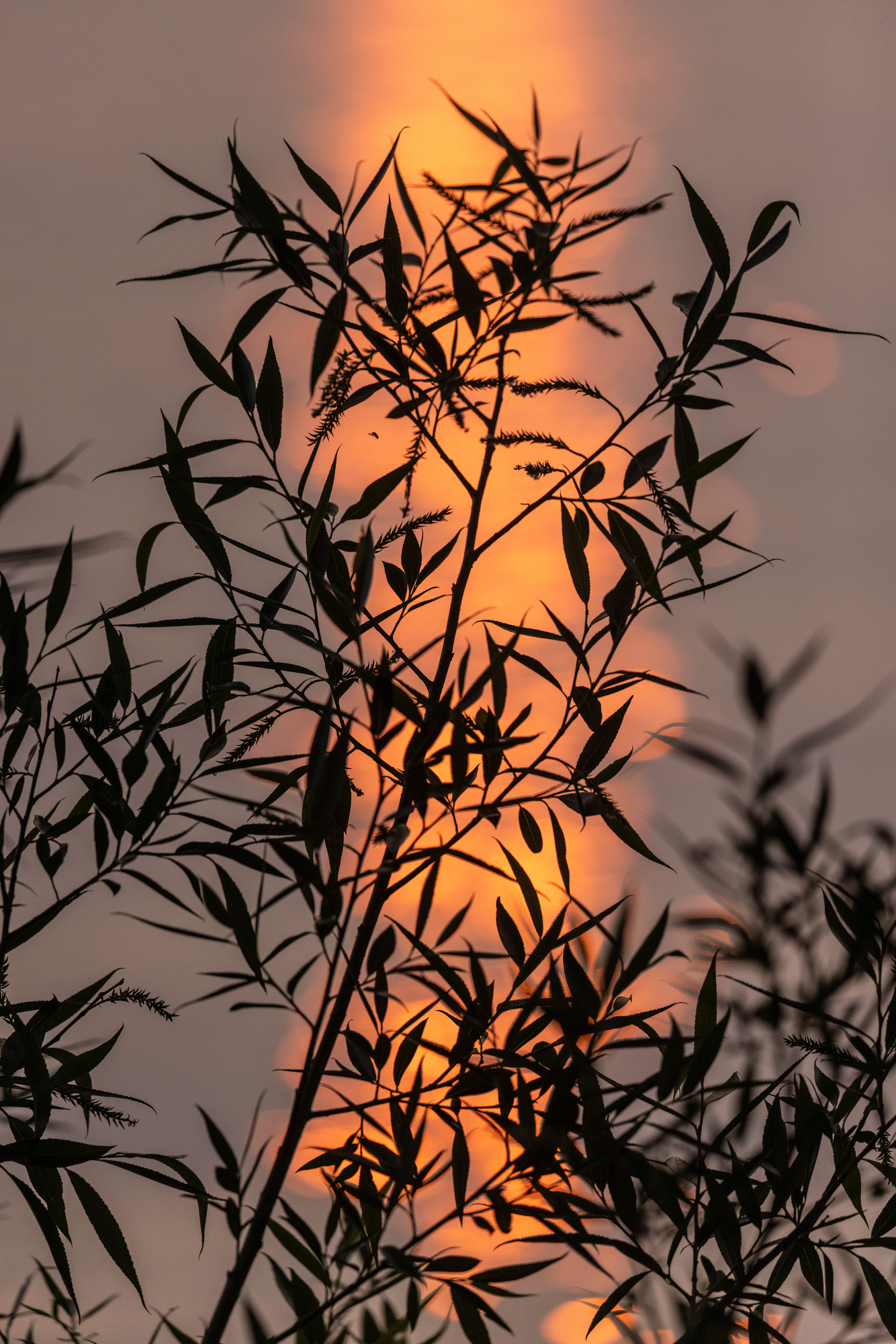 Smoky sunset over Lake Erie - cleveland.com