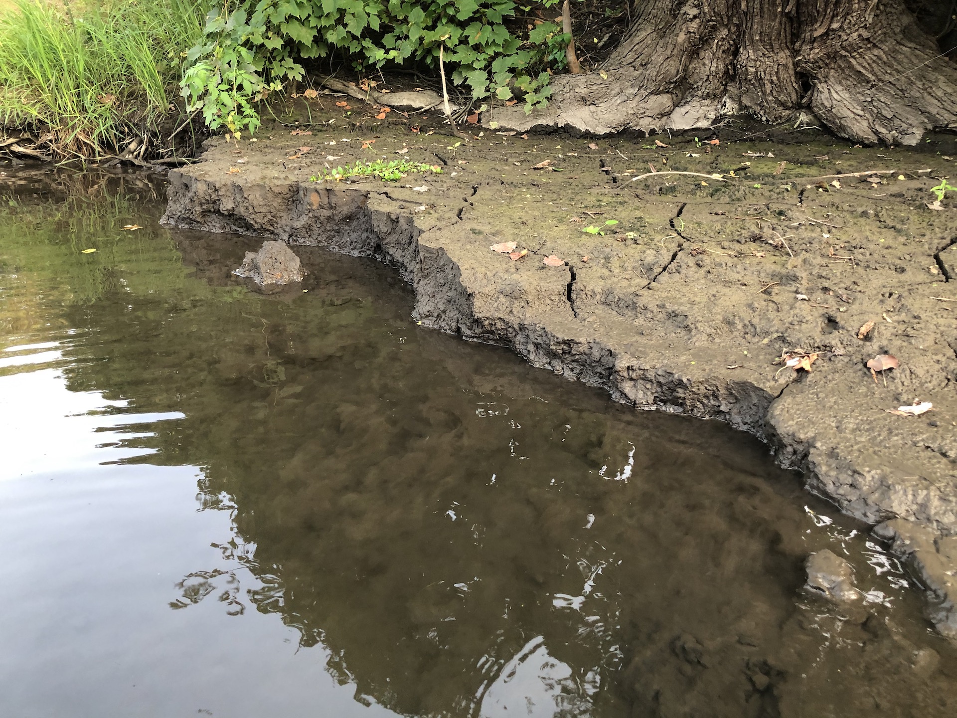 Sediment buildup in the Kalamazoo River - mlive.com
