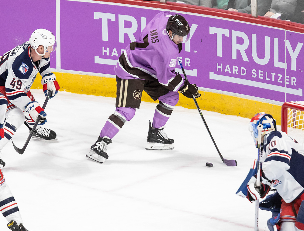 Scenes from Hershey Bears Fight Cancer Night - pennlive.com