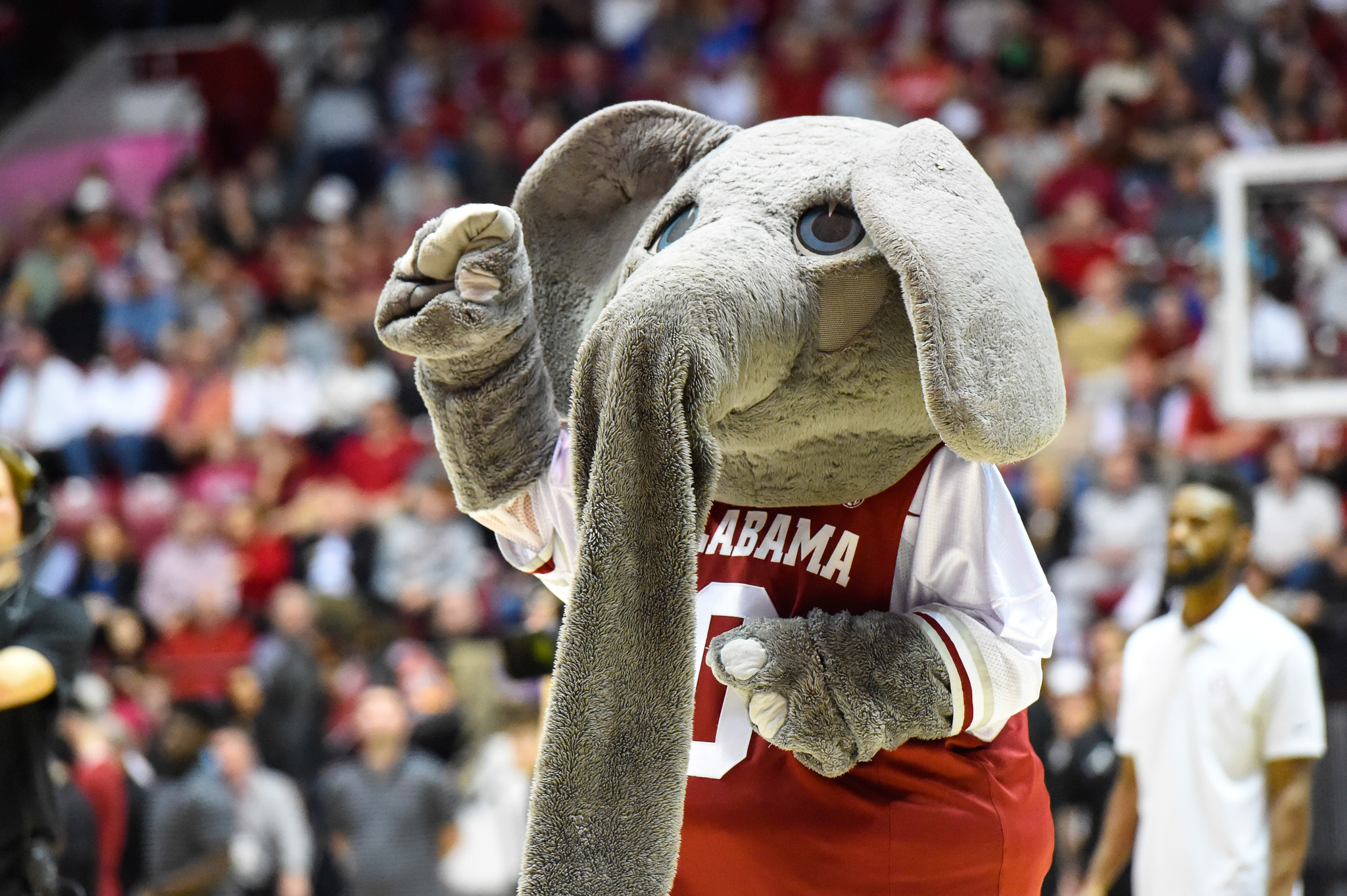 Alabama Florida Basketball Feb. 8, 2023 - al.com