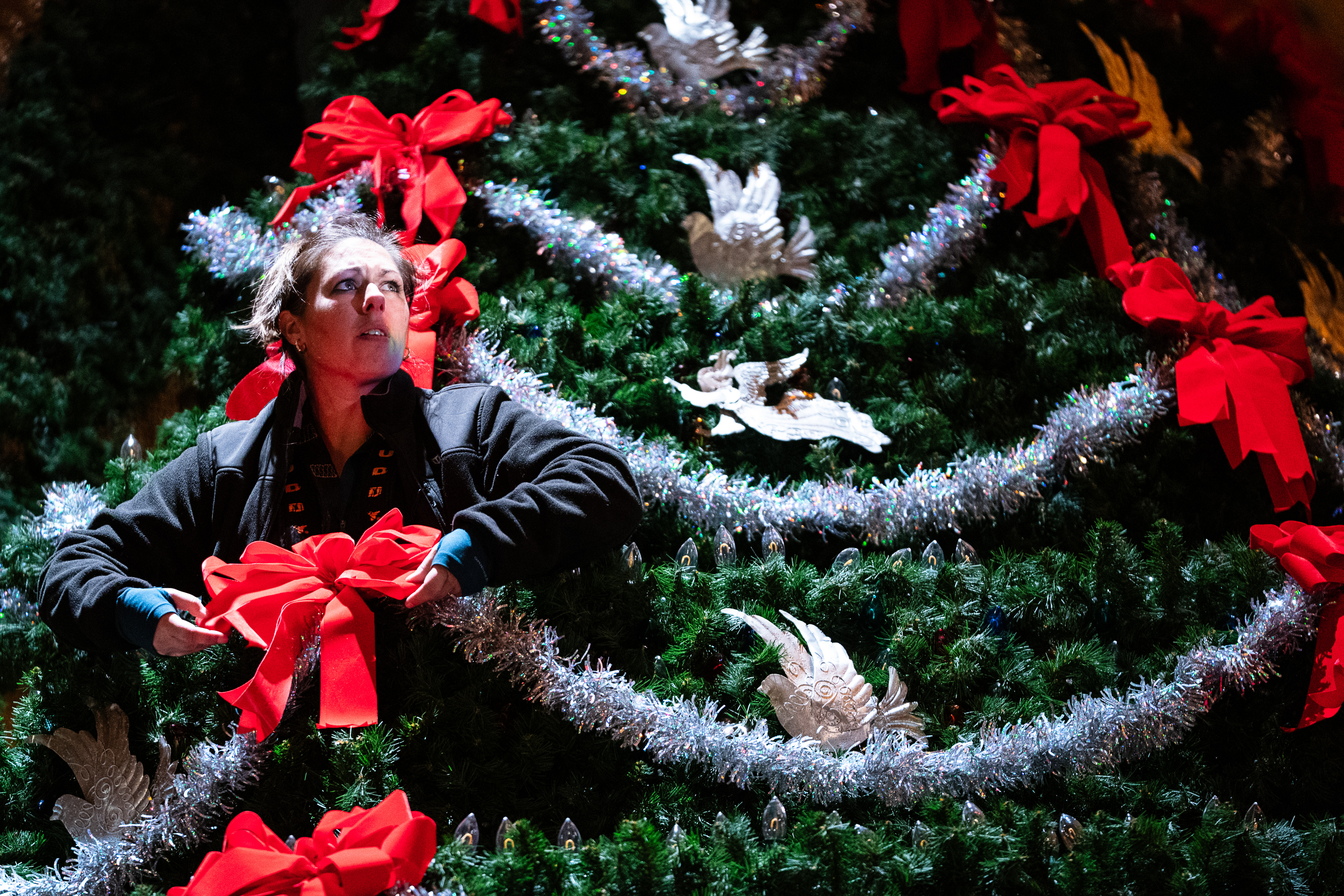 Behind the scenes of ‘America’s Tallest’ Singing Christmas Tree - mlive.com