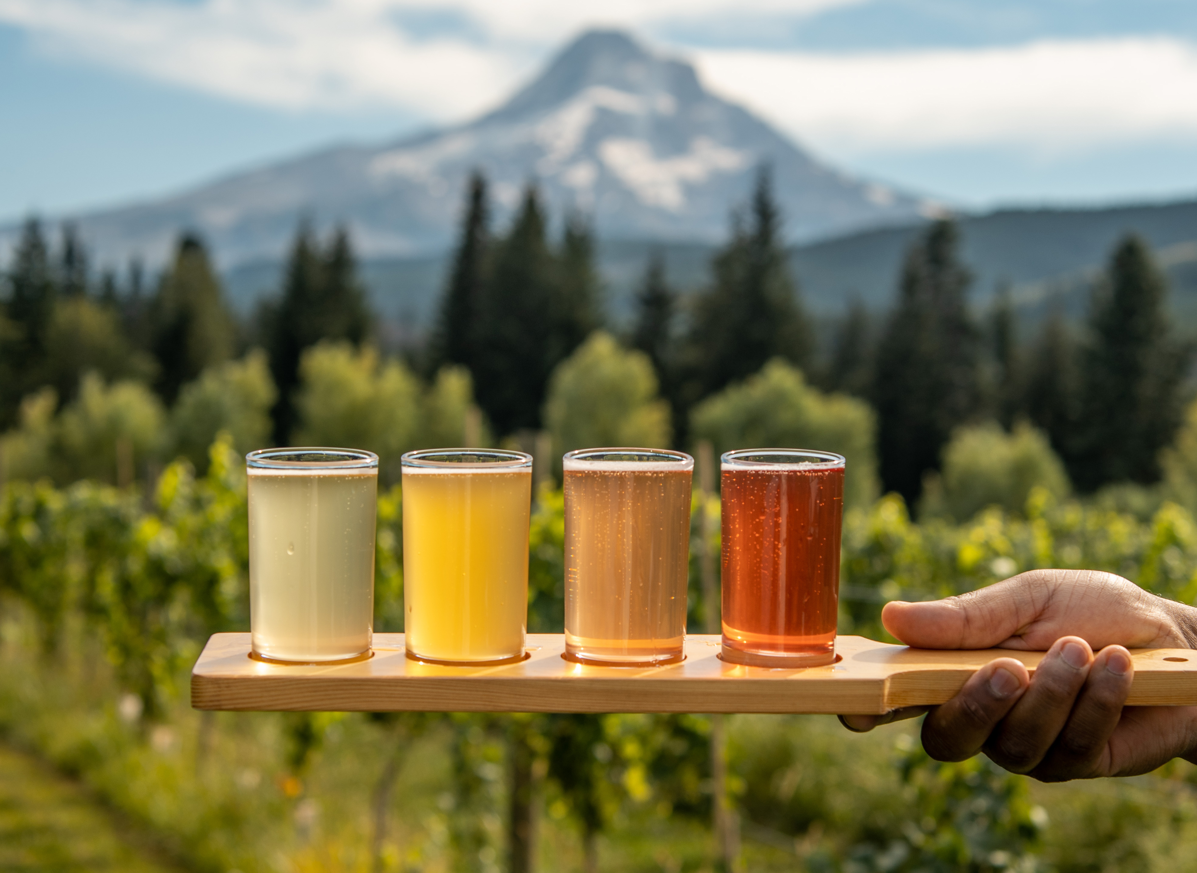 Oregon Cider Week and CiderCon converge in 2024 - oregonlive.com