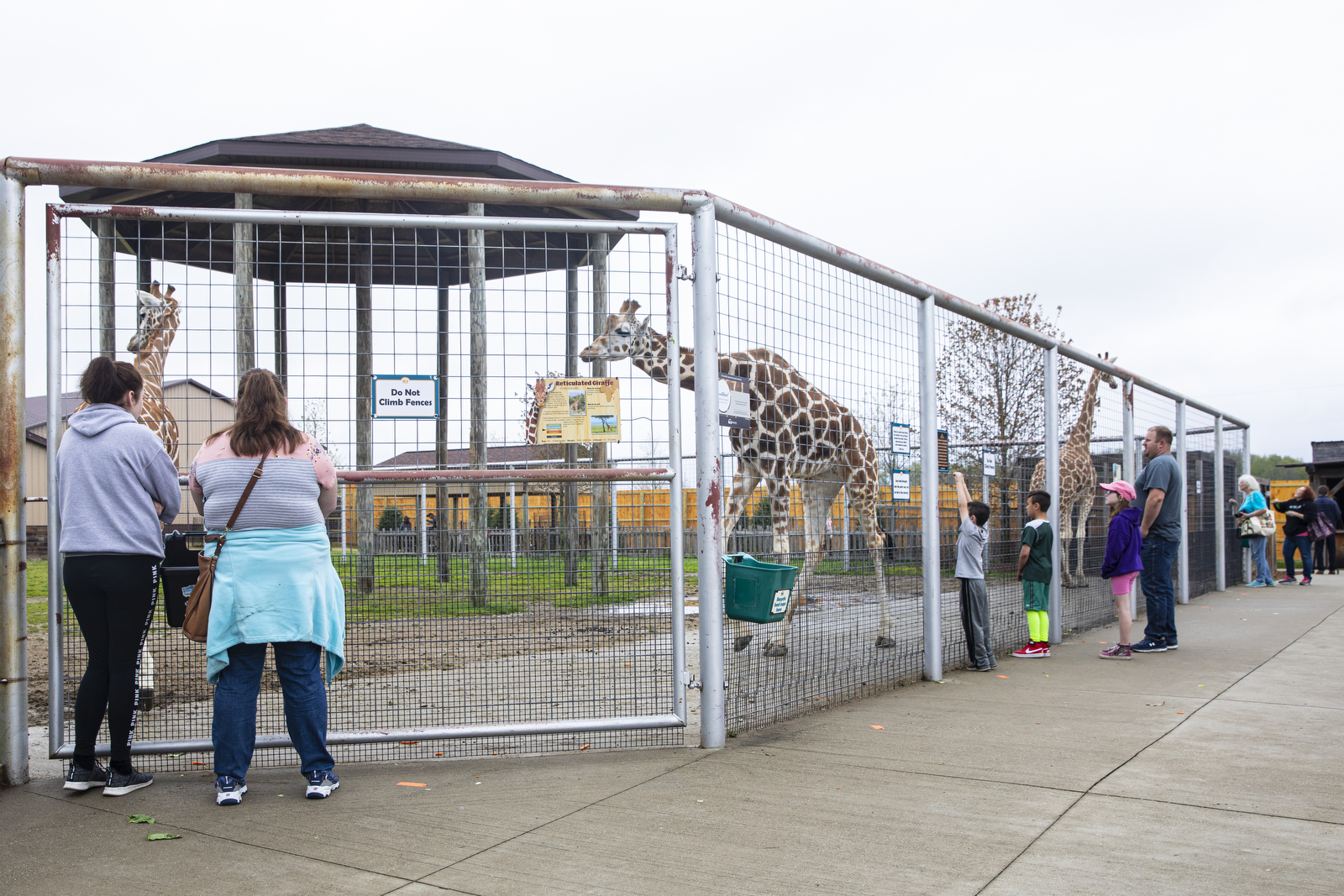 Boulder Ridge Wild Animal Park opens to the public - mlive.com