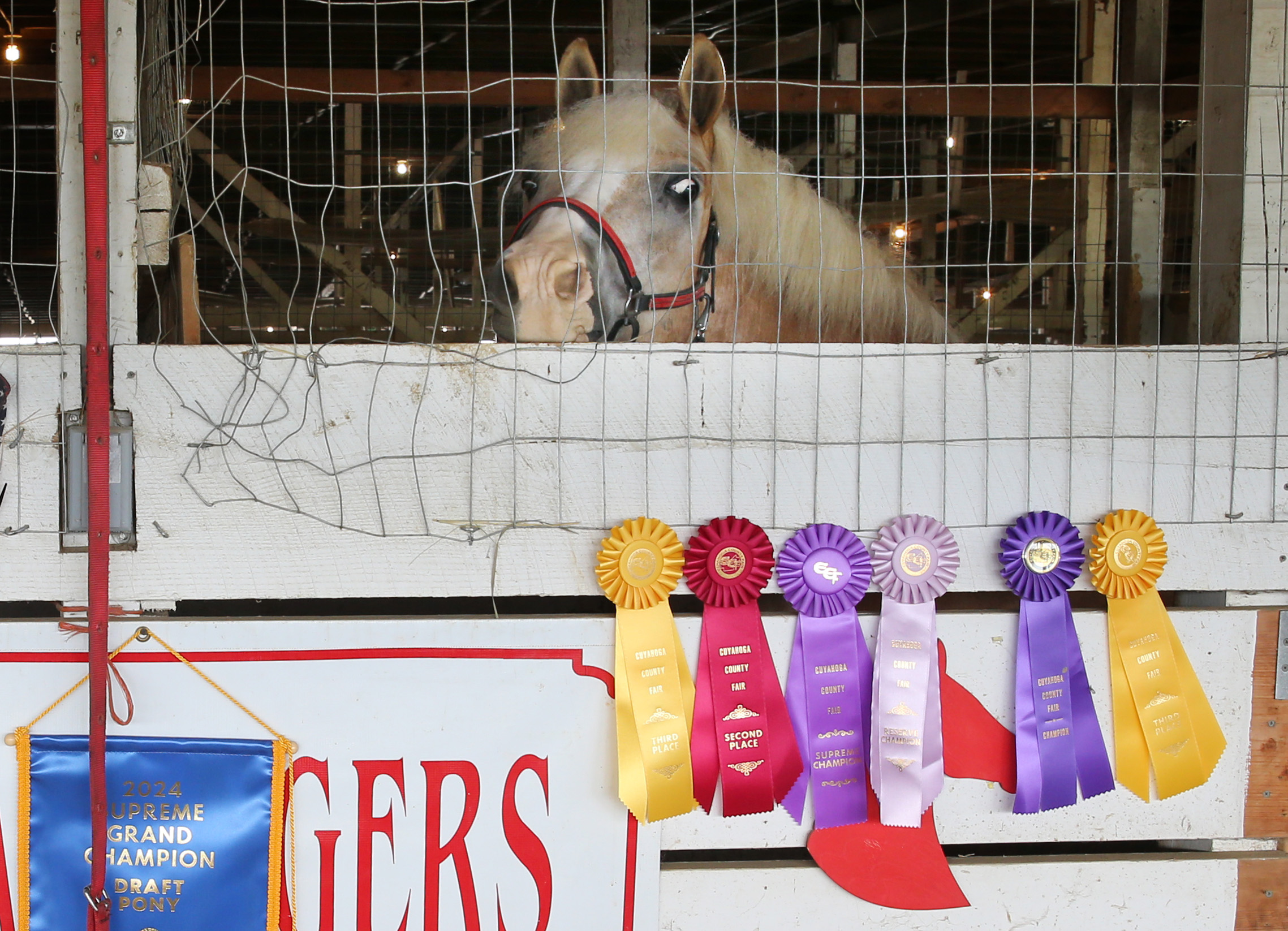 The 127th annual Cuyahoga County Fair, August 9, 2024 - cleveland.com