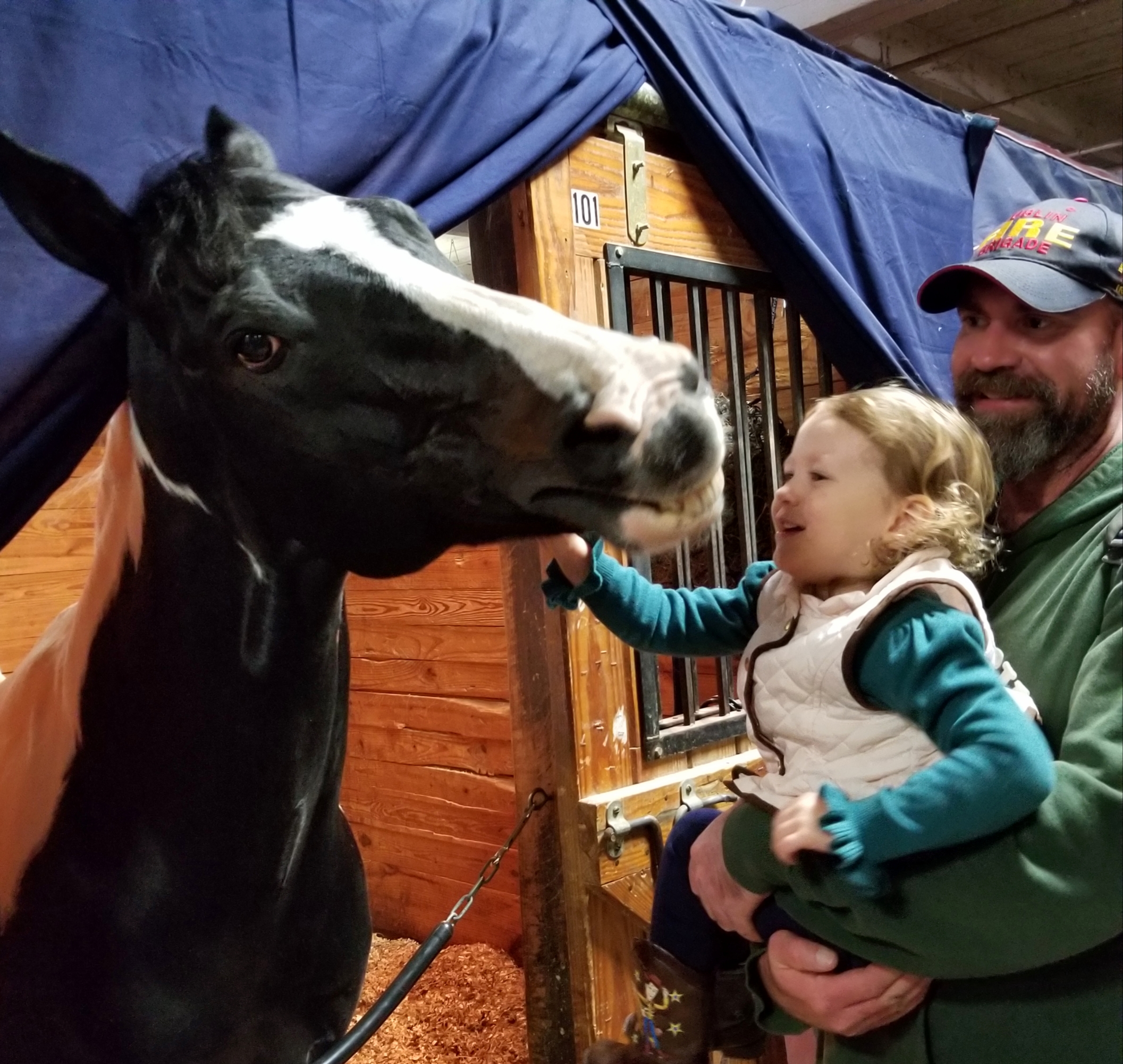 Equine Affaire returns to the Big E grounds - masslive.com