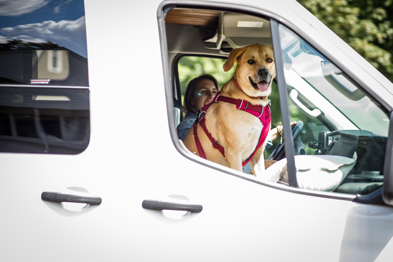 Agawam Vanlifer Cori Geiger starts her new life on the road - masslive.com