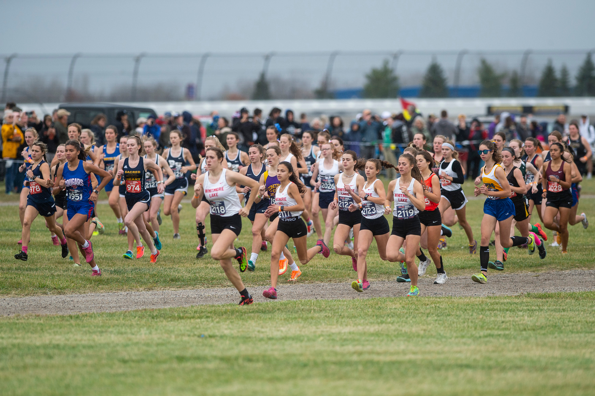 Division 4 girls Michigan state cross country championships 2022 ...
