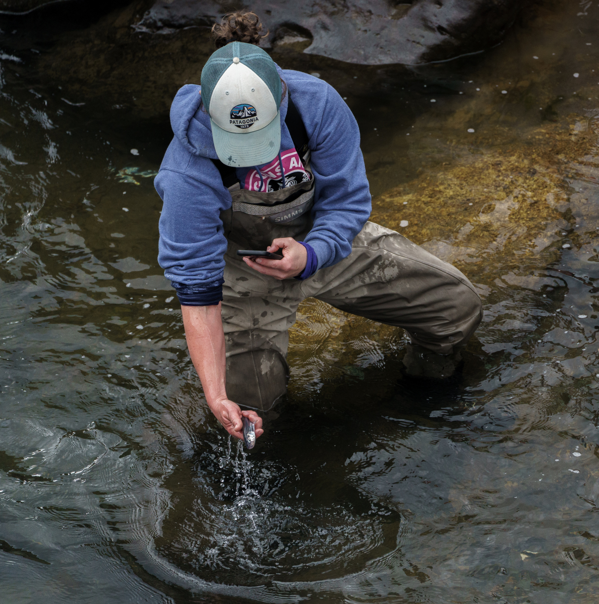 Smelt dipping returns to the lower Sandy River - oregonlive.com