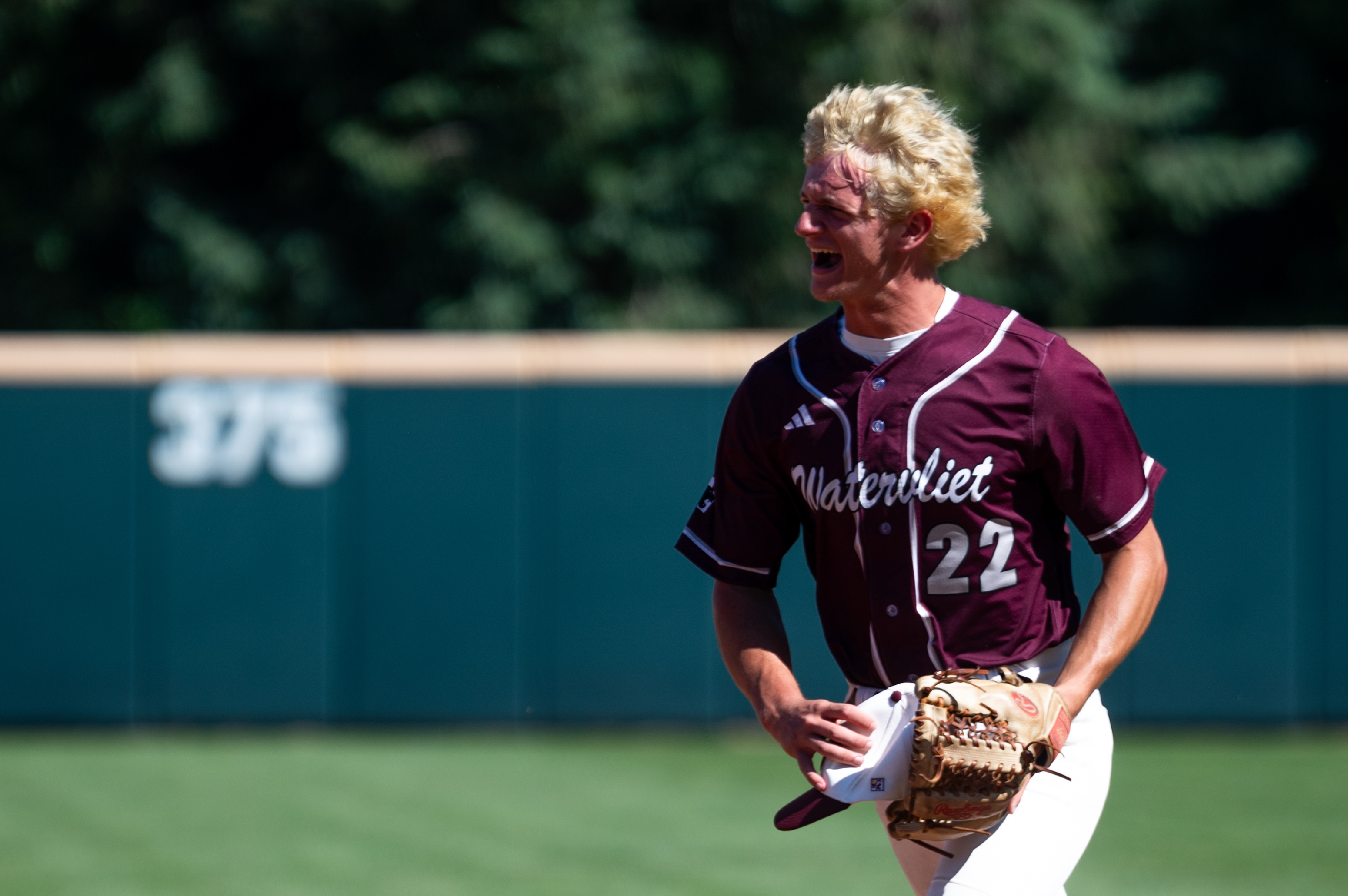 Watervliet wins MHSAA Division 3 baseball state championship - mlive.com