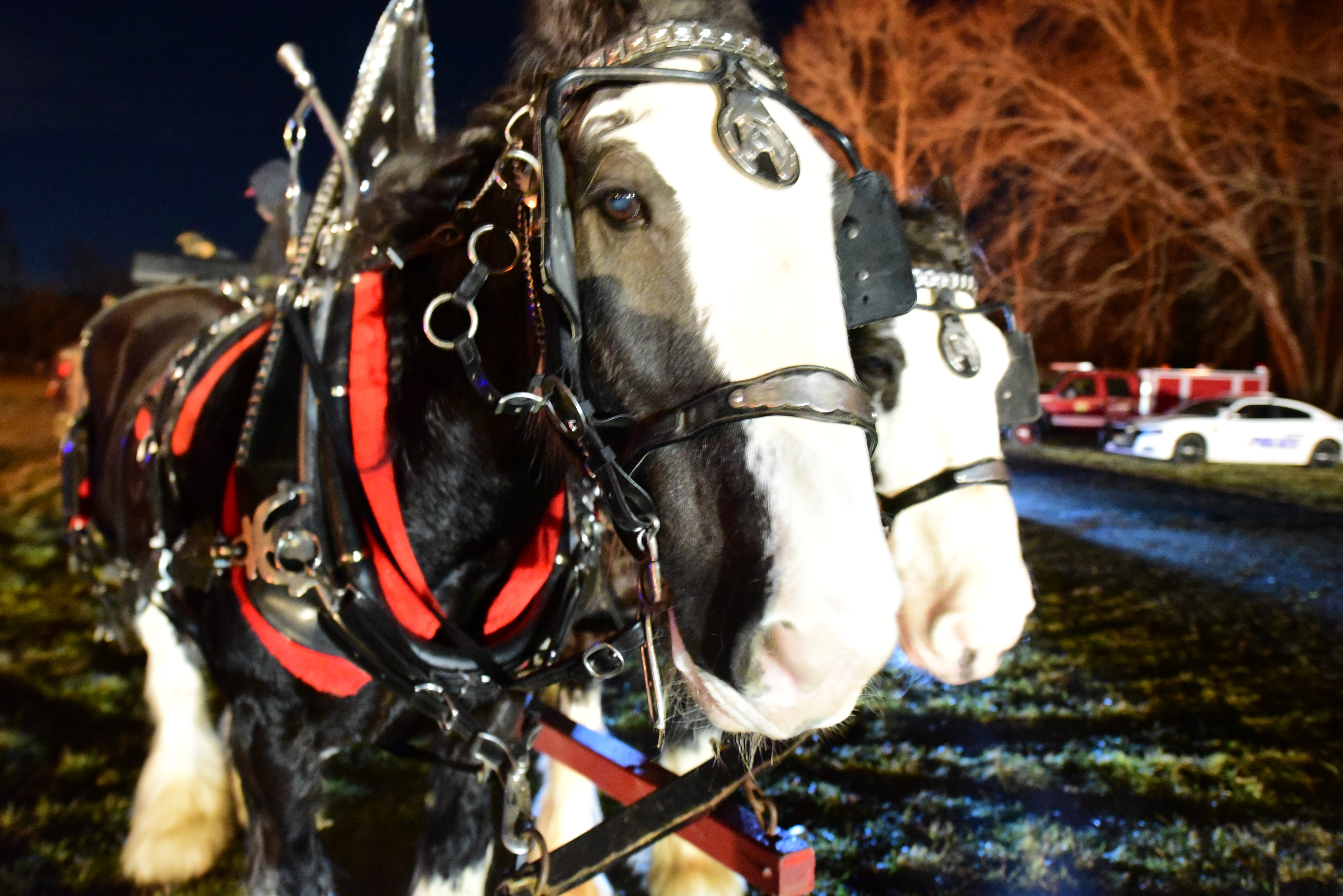 Clinton 14th Annual Yuletide Bonfire - nj.com