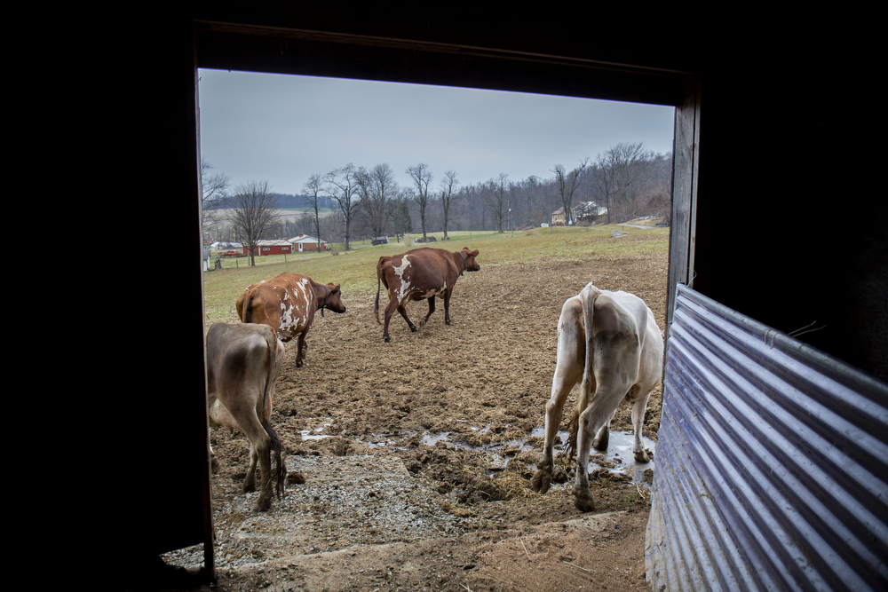 Farm Show means 'family' to York County's Shultz family - pennlive.com
