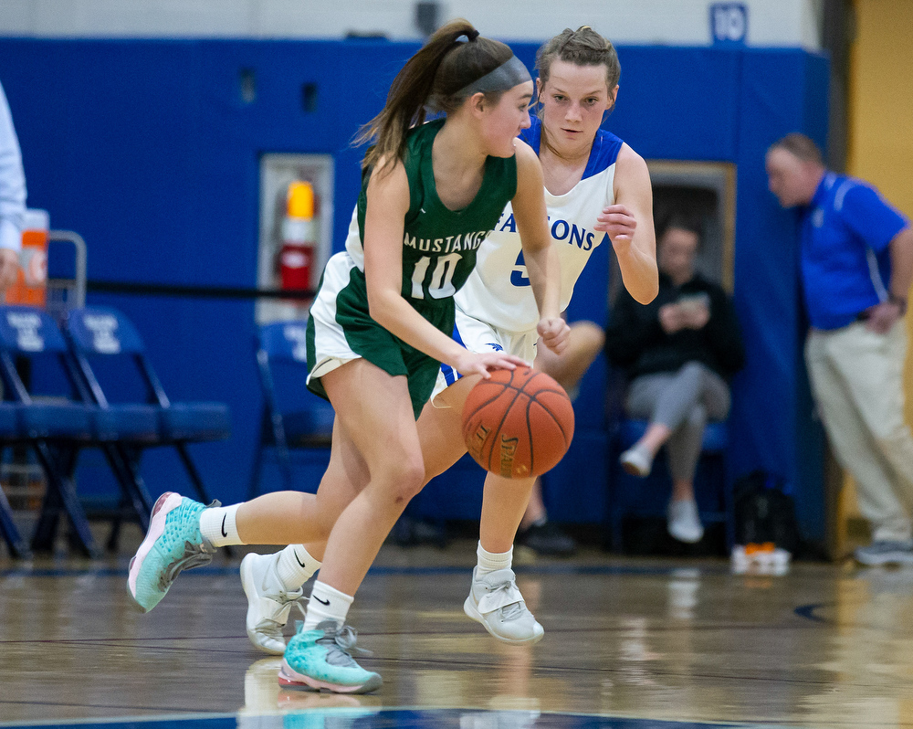 Lower Dauphin defeats West Perry 46-36 in D3-5A girls basketball ...