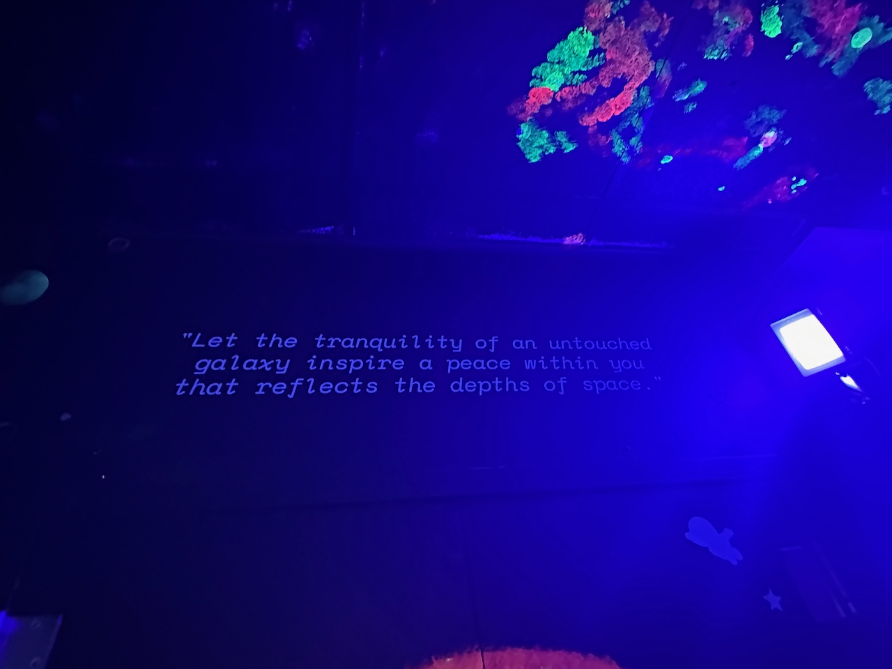 Inside the new space-themed mindfulness room at PS 58 - silive.com